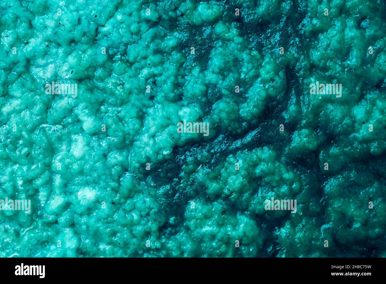 Abstract watercolor green background pattern for design. Liquid fluid ...