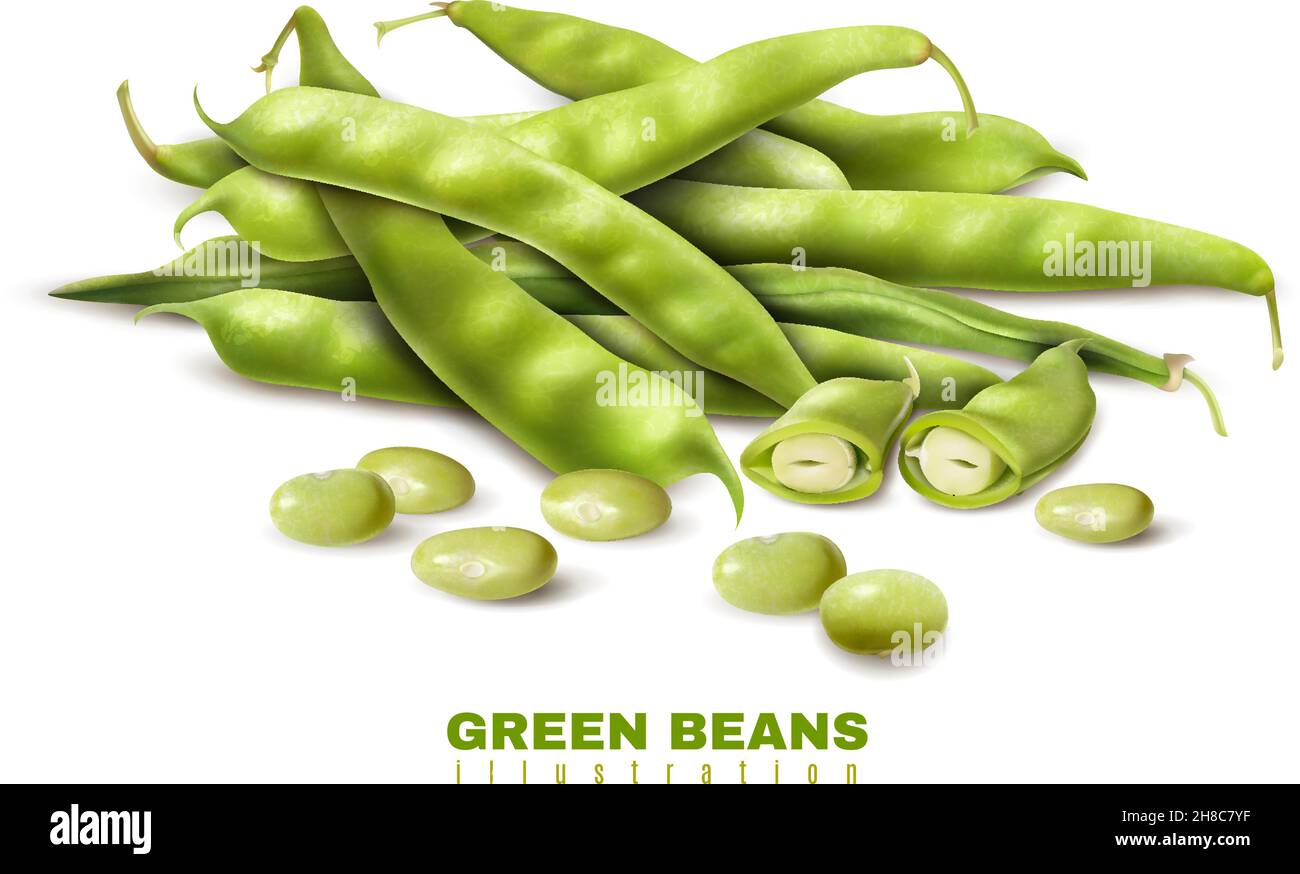 Fresh green organic beans cut and whole pods close up realistic image ...