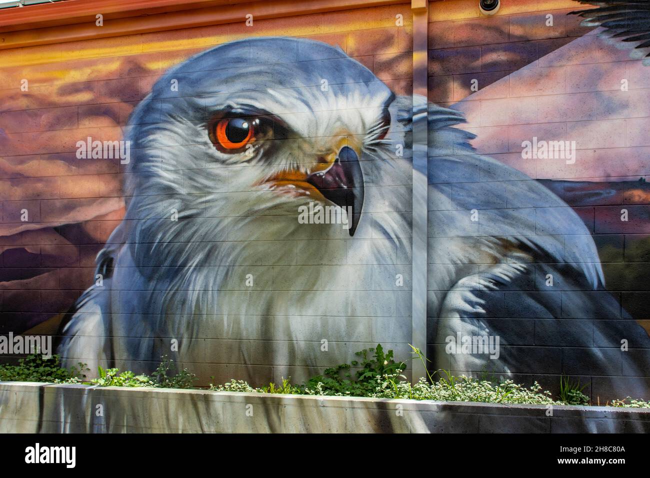 Wall mural bird art hi-res stock photography and images - Alamy