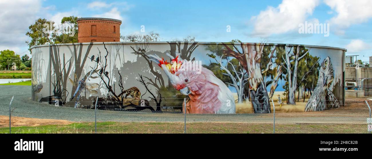Water Tank Art, Kyabram, Victoria, Australia Stock Photo - Alamy