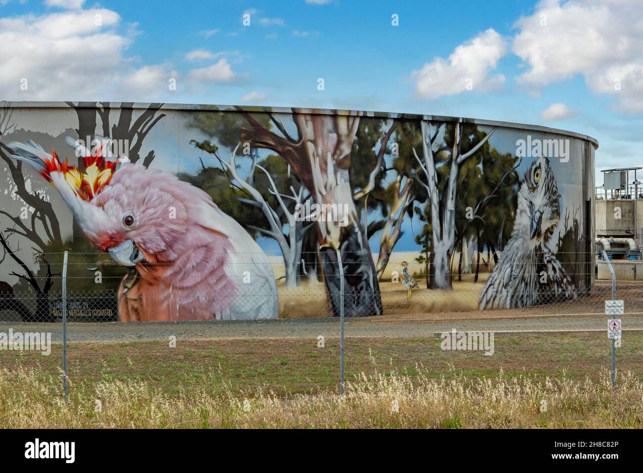 Water Tank Art, Kyabram, Victoria, Australia Stock Photo - Alamy