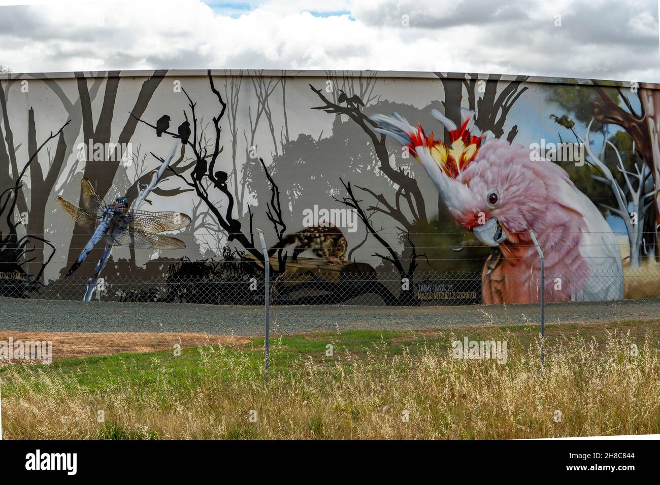 Water Tank Art, Kyabram Stock Photo - Alamy