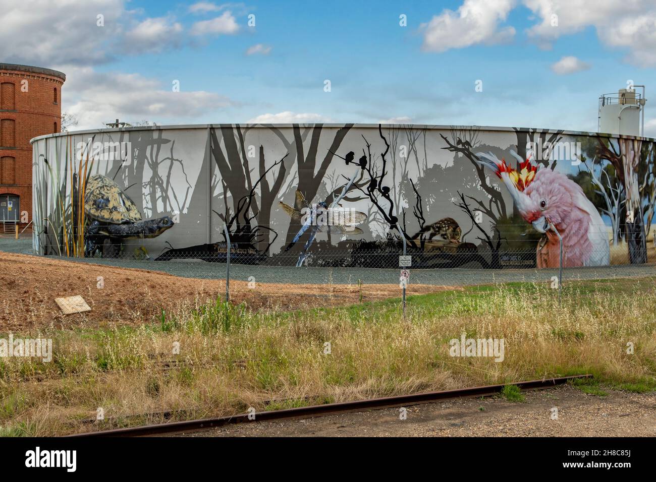 Water Tank Art, Kyabram, Victoria, Australia Stock Photo - Alamy