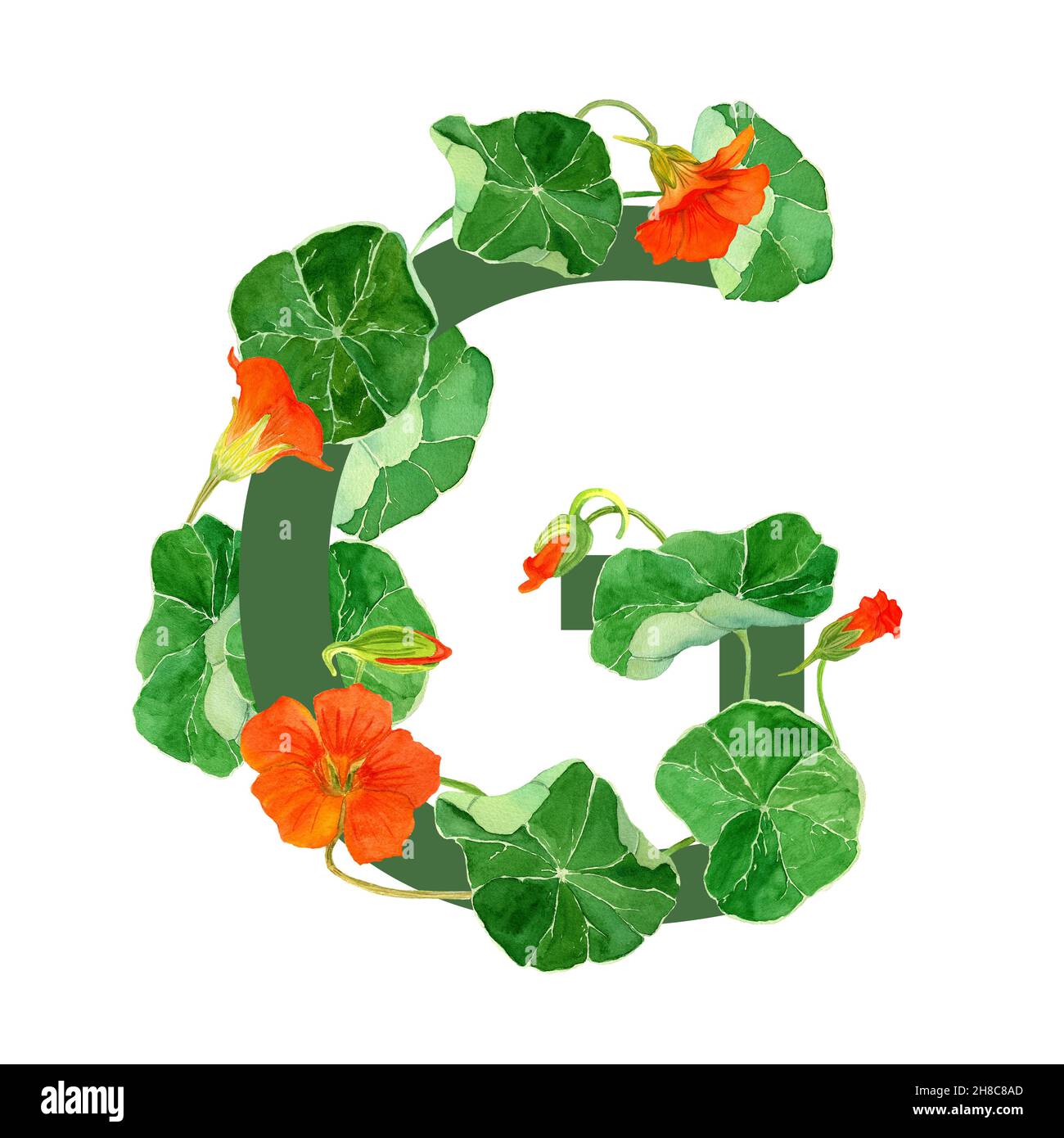 Watercolor letter G made from flowers. Botany alphabet in bloom ...
