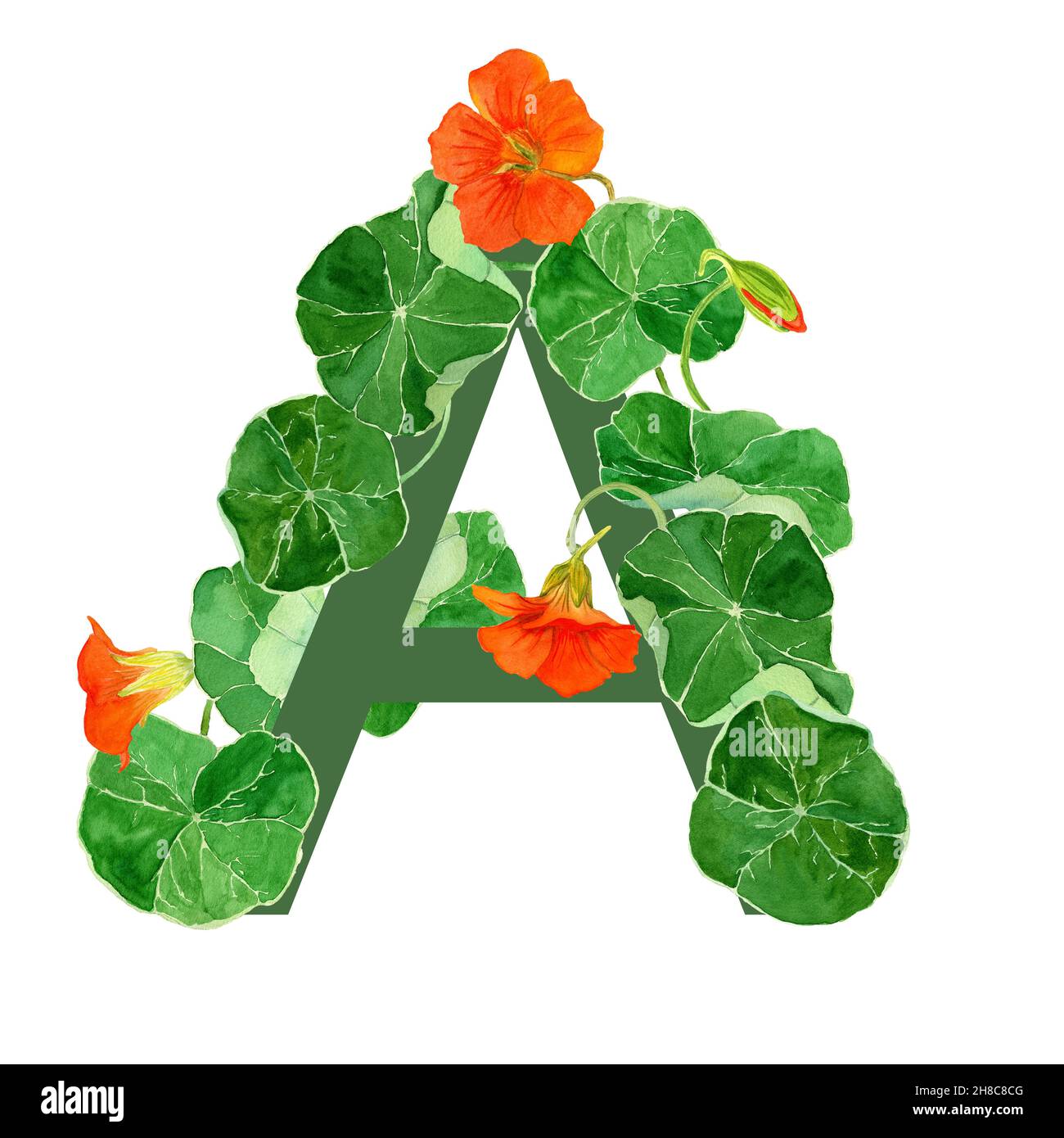 Watercolor letter A made from flowers. Botany alphabet in bloom ...