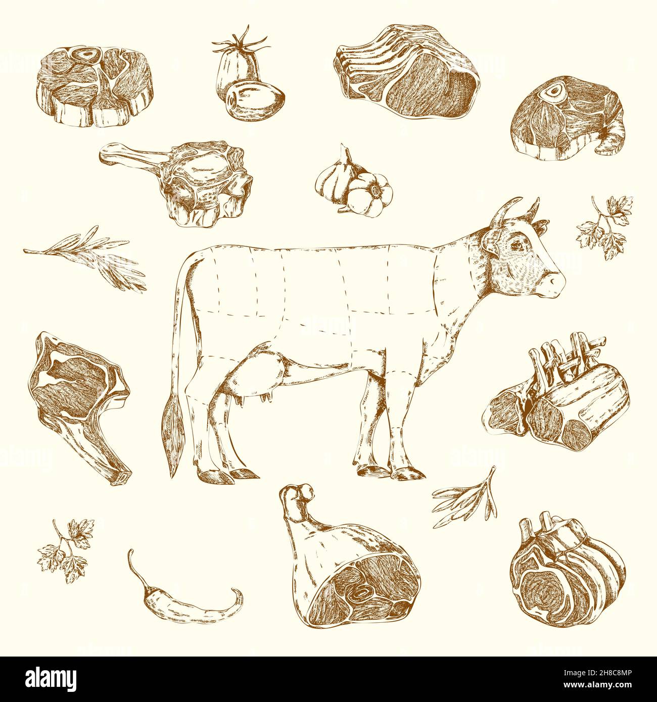 Meat hand drawn elements set with cow and parts of beef herbs and ...