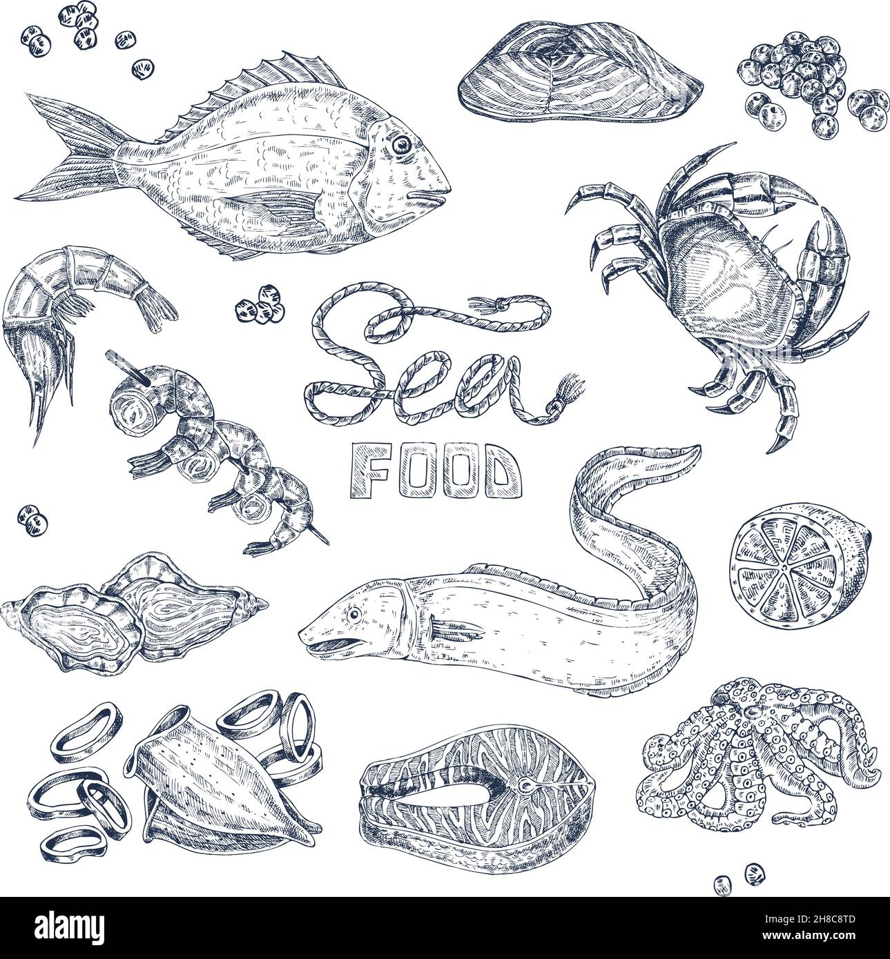 Set of isolated monochrome sketches with seafood including fishes squid ...