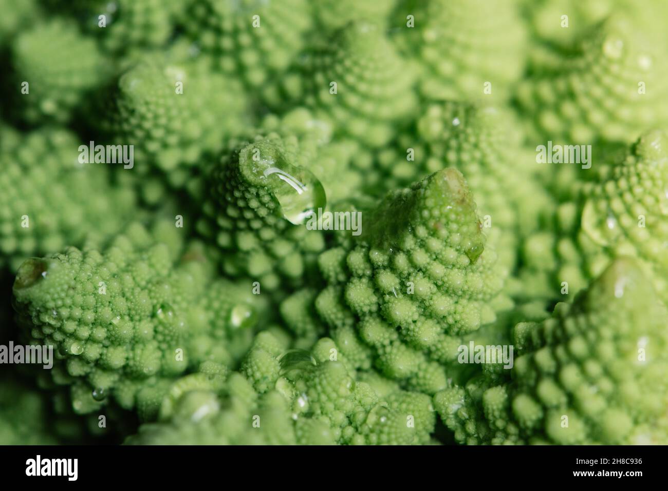 Roman mosaic food hi-res stock photography and images - Alamy