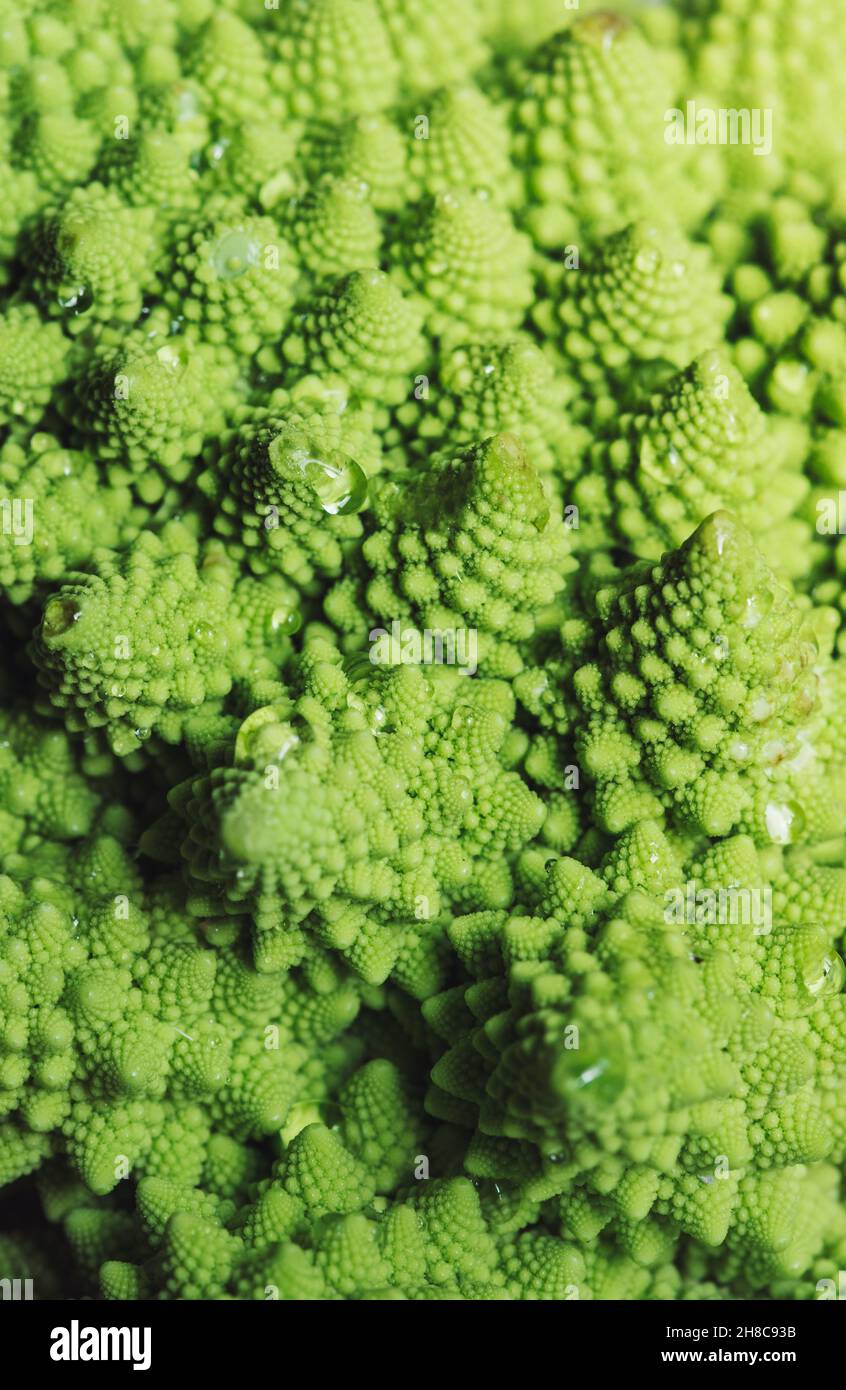 Roman cabbage mosaic hi-res stock photography and images - Alamy