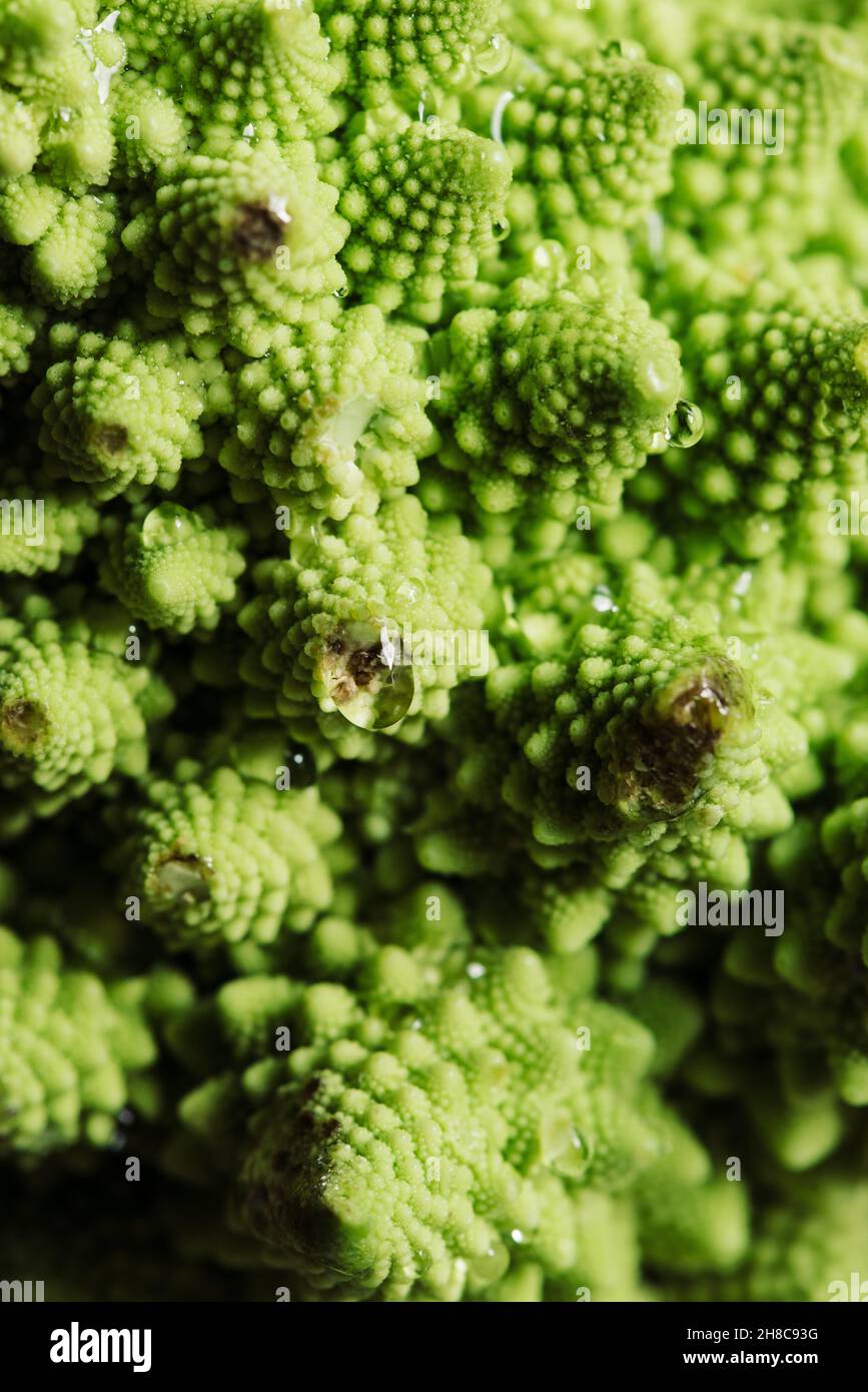 Mosaic roman food hi-res stock photography and images - Alamy