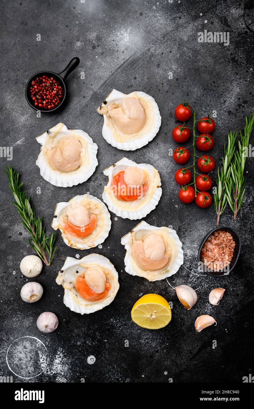 Shellfish Scallops in seashells with garlic and spices set, on black ...