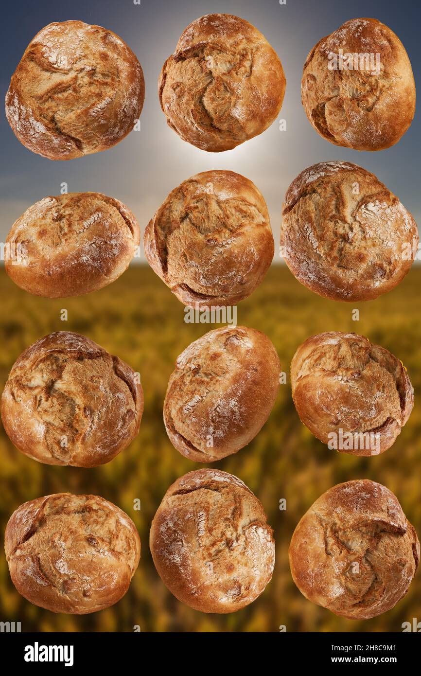 Wholegrain bread buns arranged in rows and lines Stock Photo - Alamy