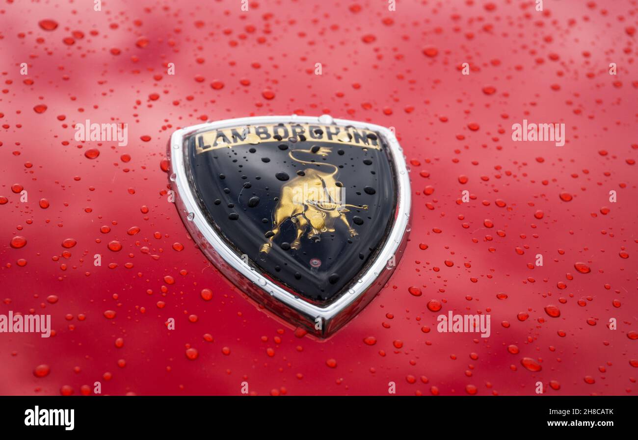 Close up detail of the charging bull logo emblem badge on a red ...
