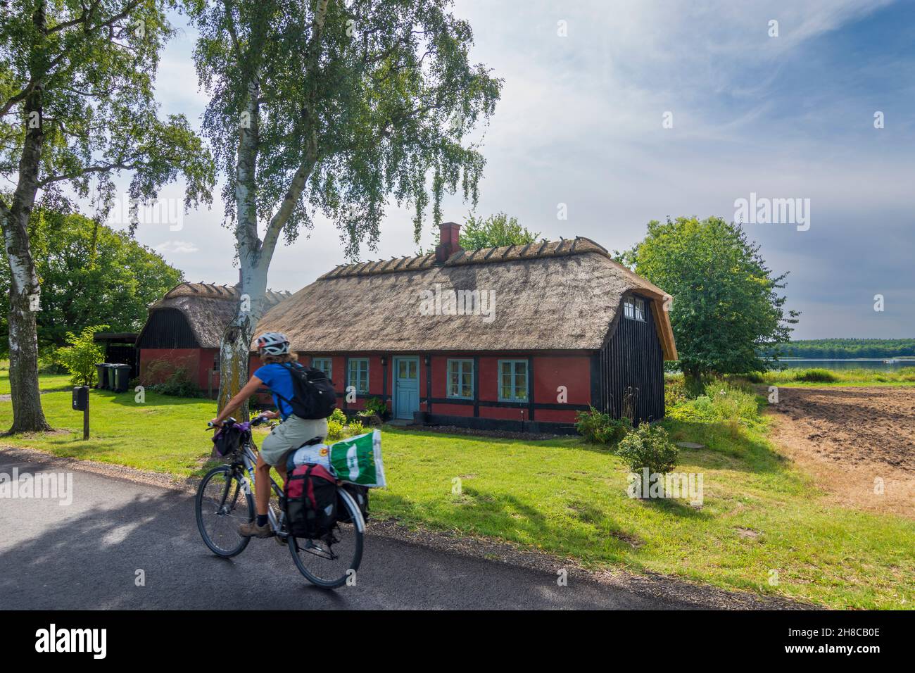 Guldborgsund: thatched roof farmhouse in , Falster, Denmark Stock Photo ...