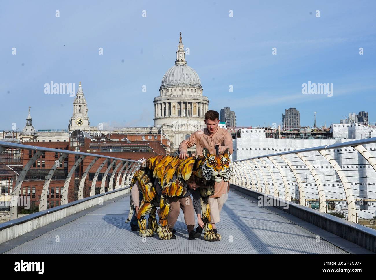 Life of pi tiger hi-res stock photography and images - Alamy