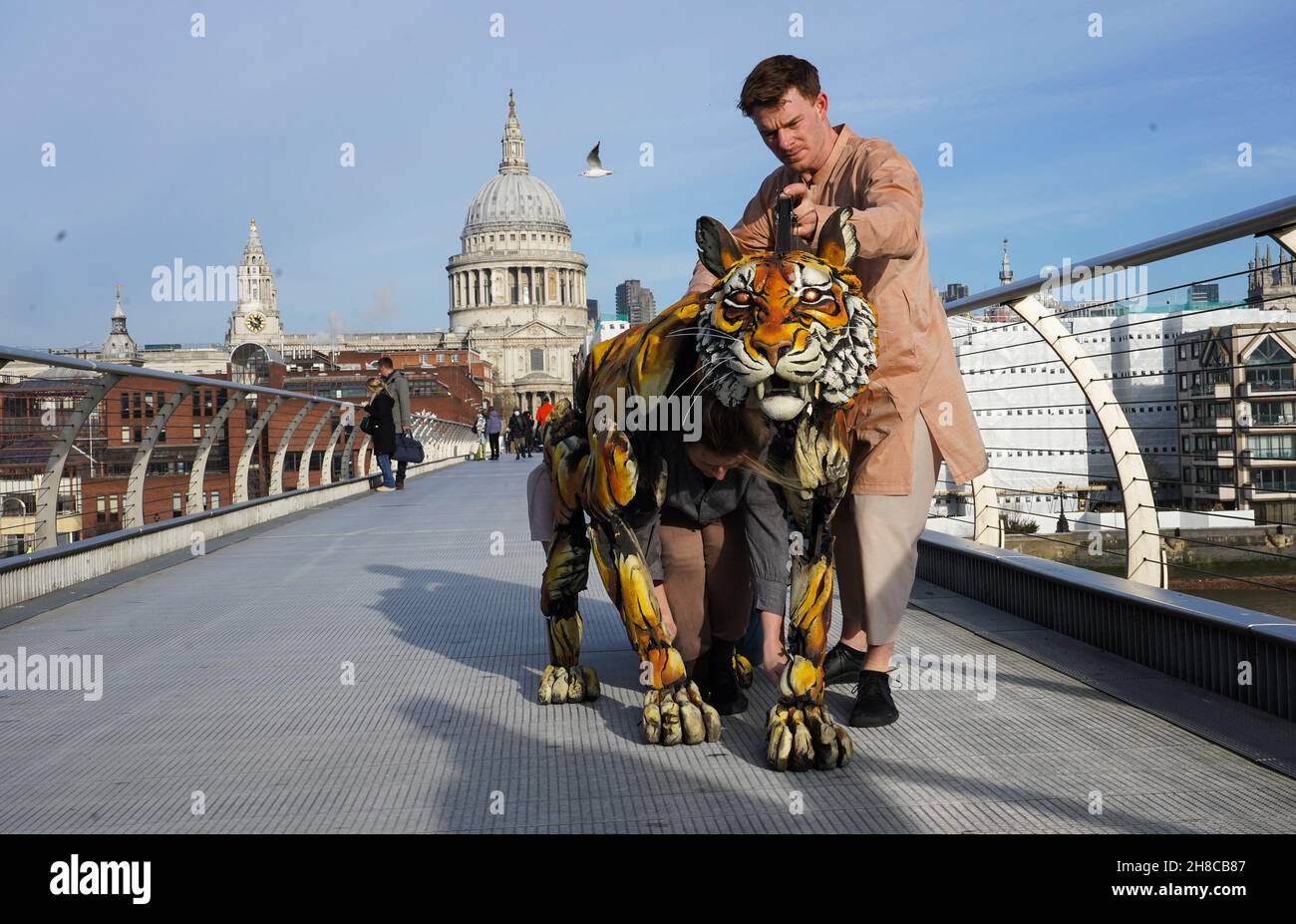 The puppet of a Royal Bengal Tiger from the stage production of The ...