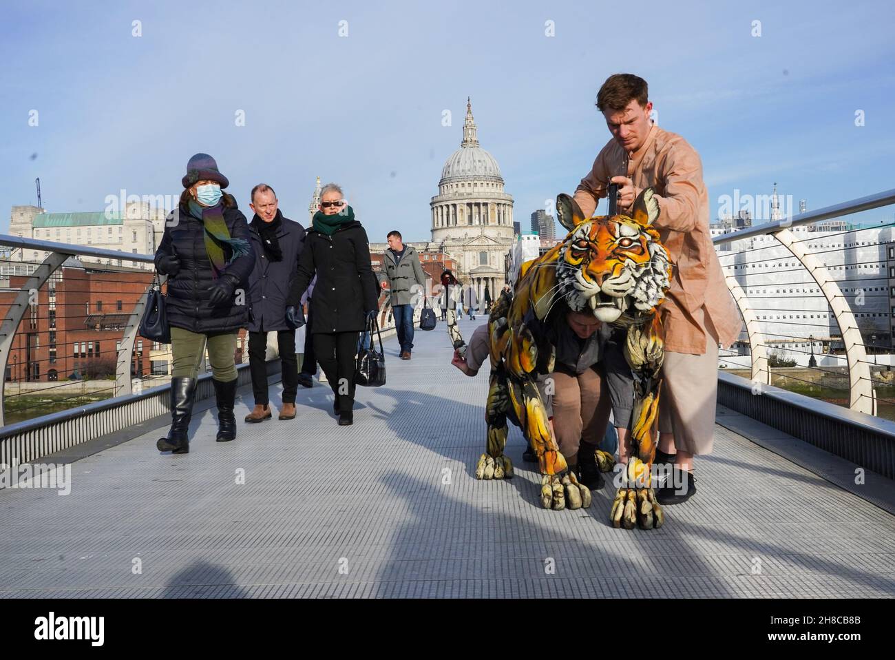 Life of pi tiger hi-res stock photography and images - Alamy