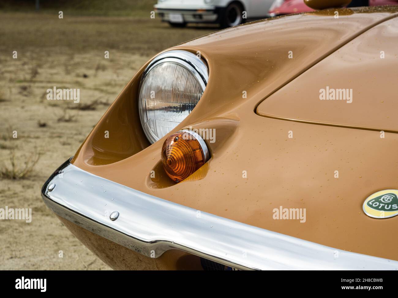 Close up detail of the headlight and indicator on a Bahama yellow Lotus ...