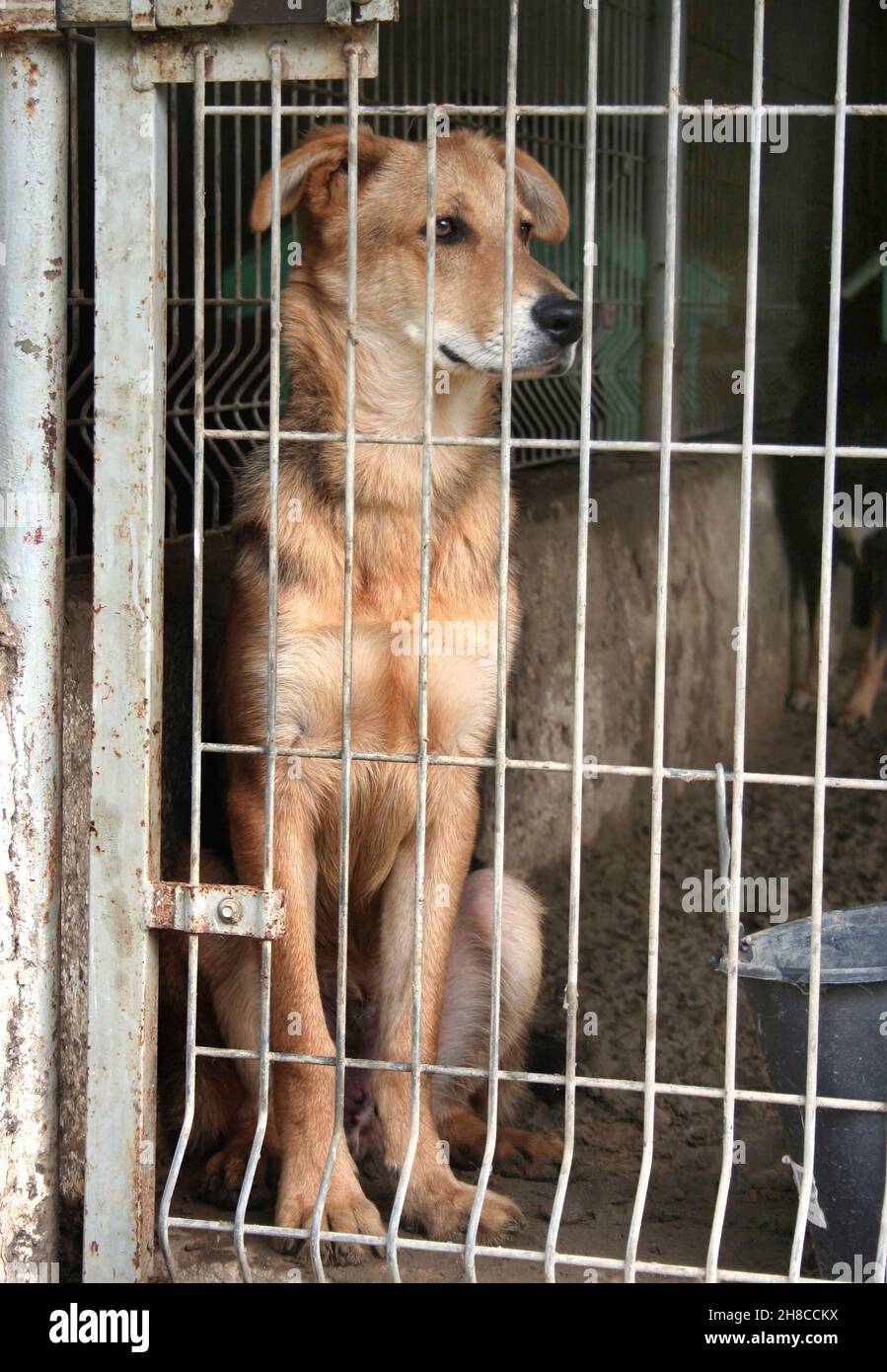 Domestic abuse germany hi-res stock photography and images - Alamy