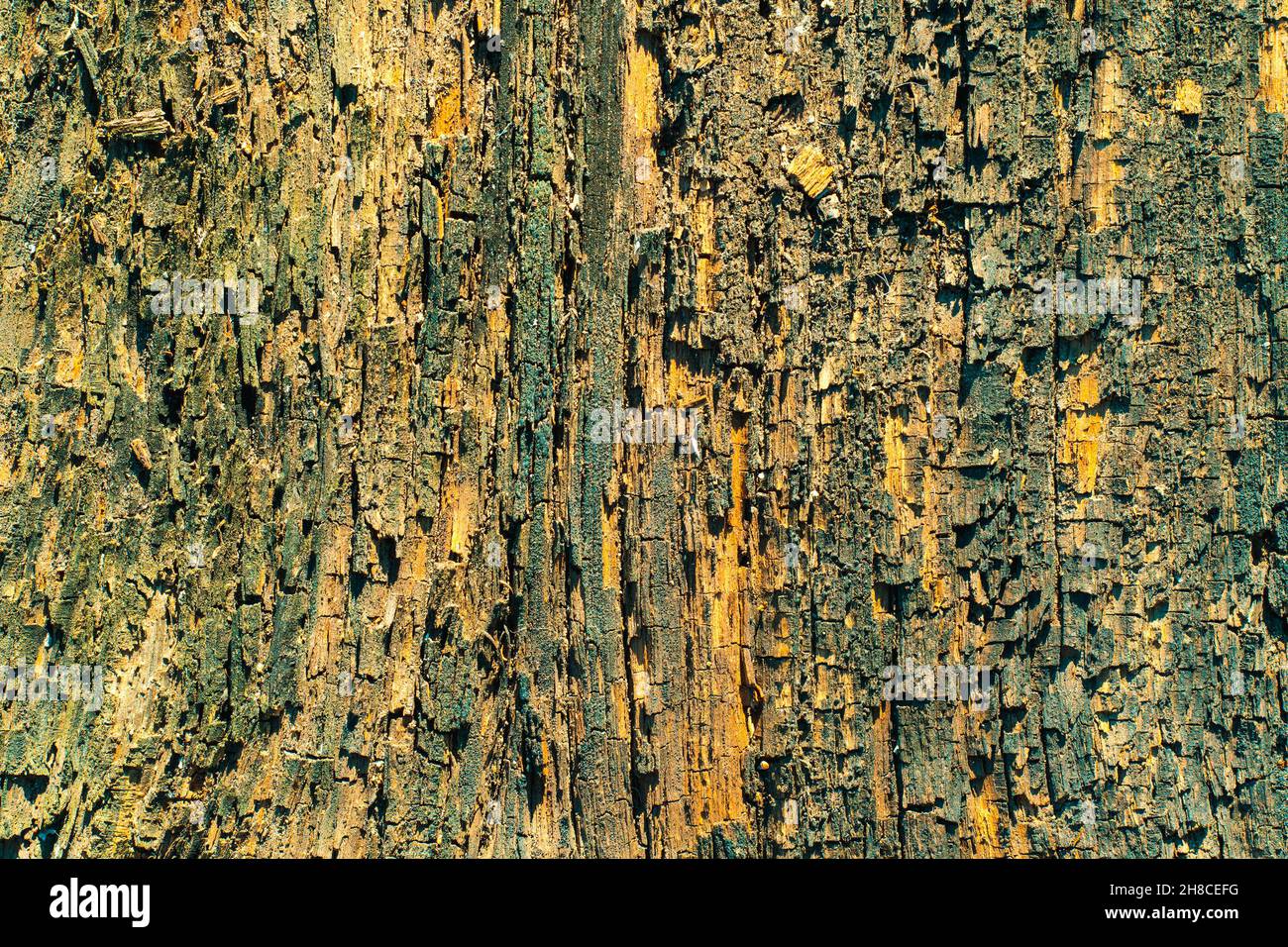 Grungy wood texture, macro. Abstract wallpaper Stock Photo - Alamy