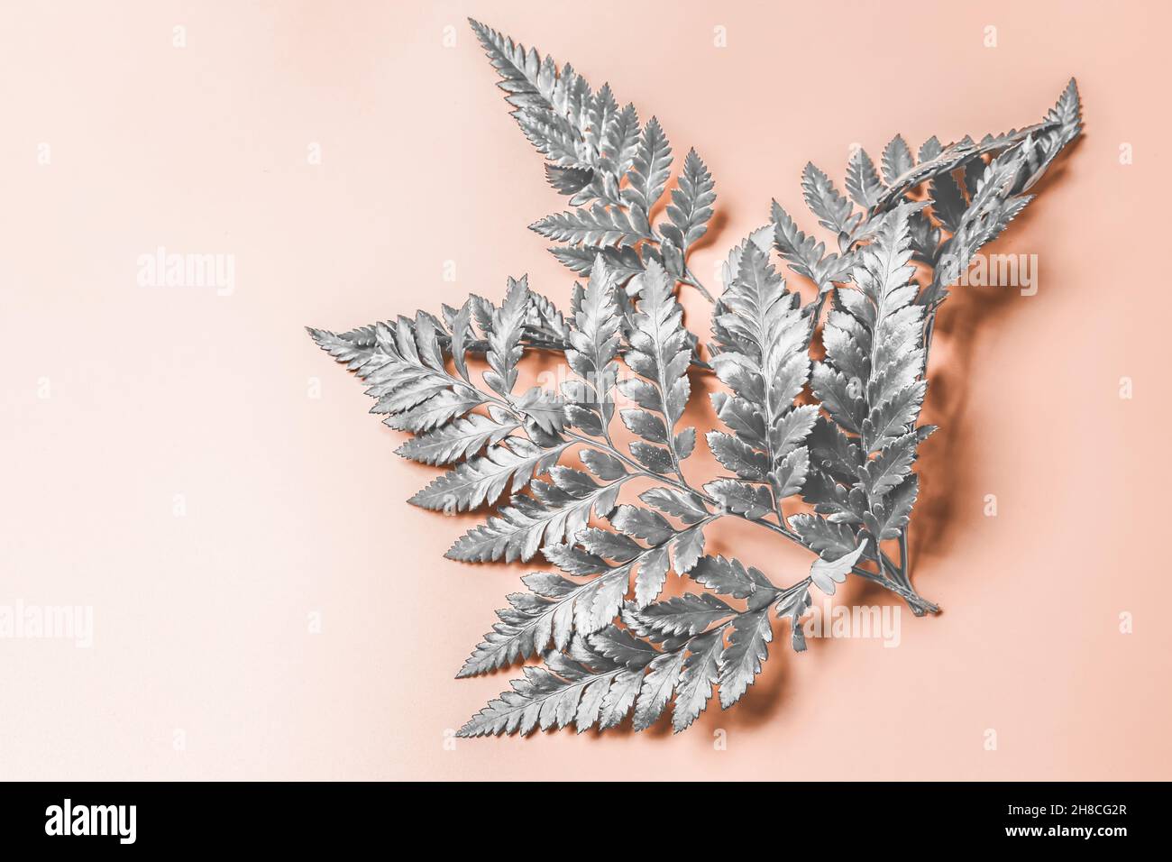 Silver leaf texture hi-res stock photography and images - Alamy