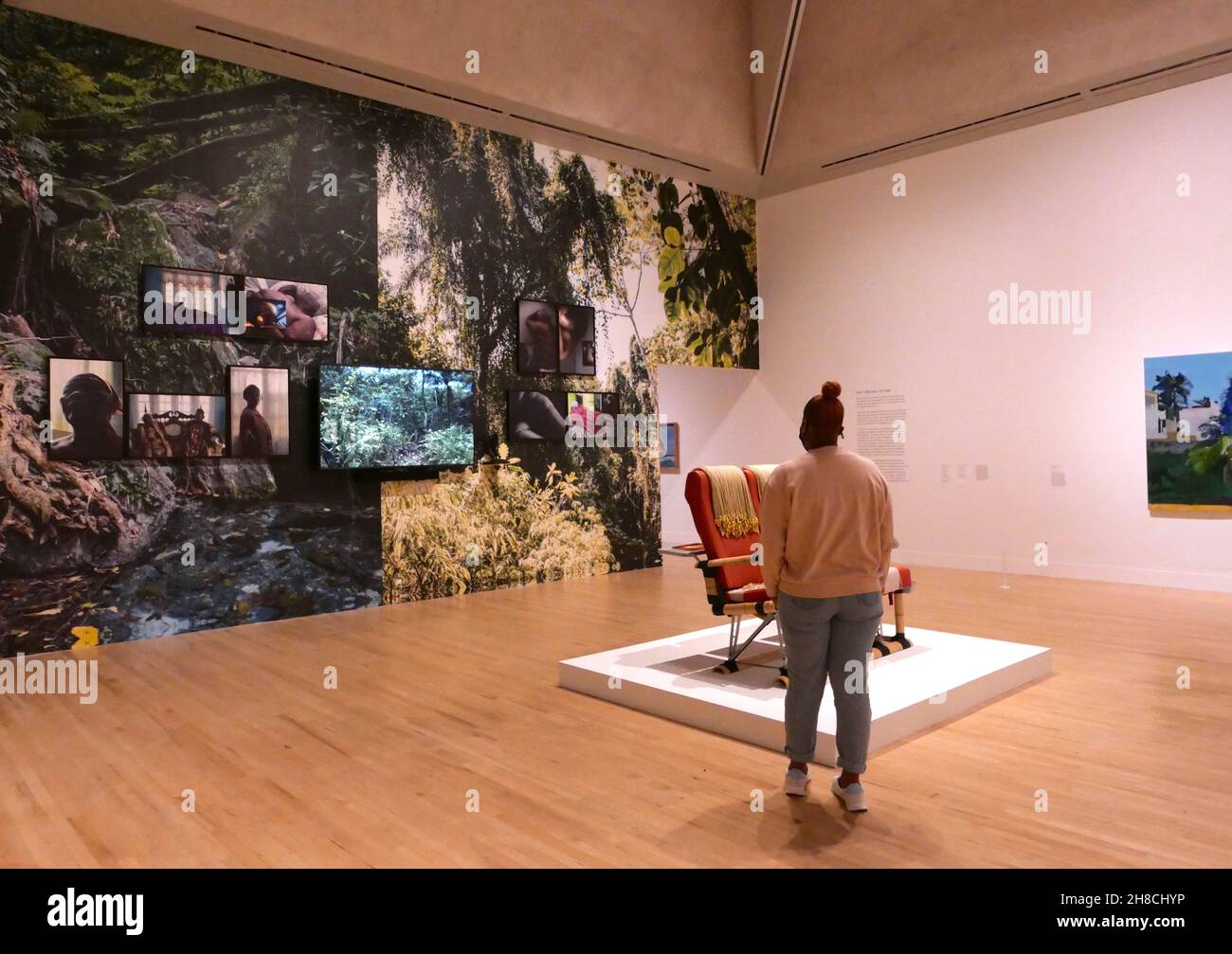 Life Between Islands explores and celebrates the relationship between ...