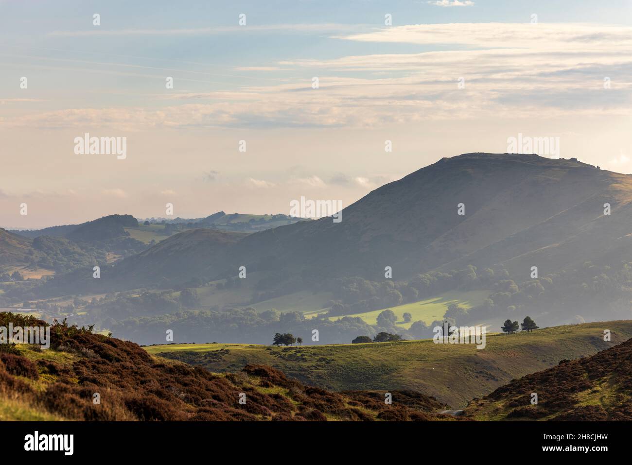 Stretton golf course hi-res stock photography and images - Alamy