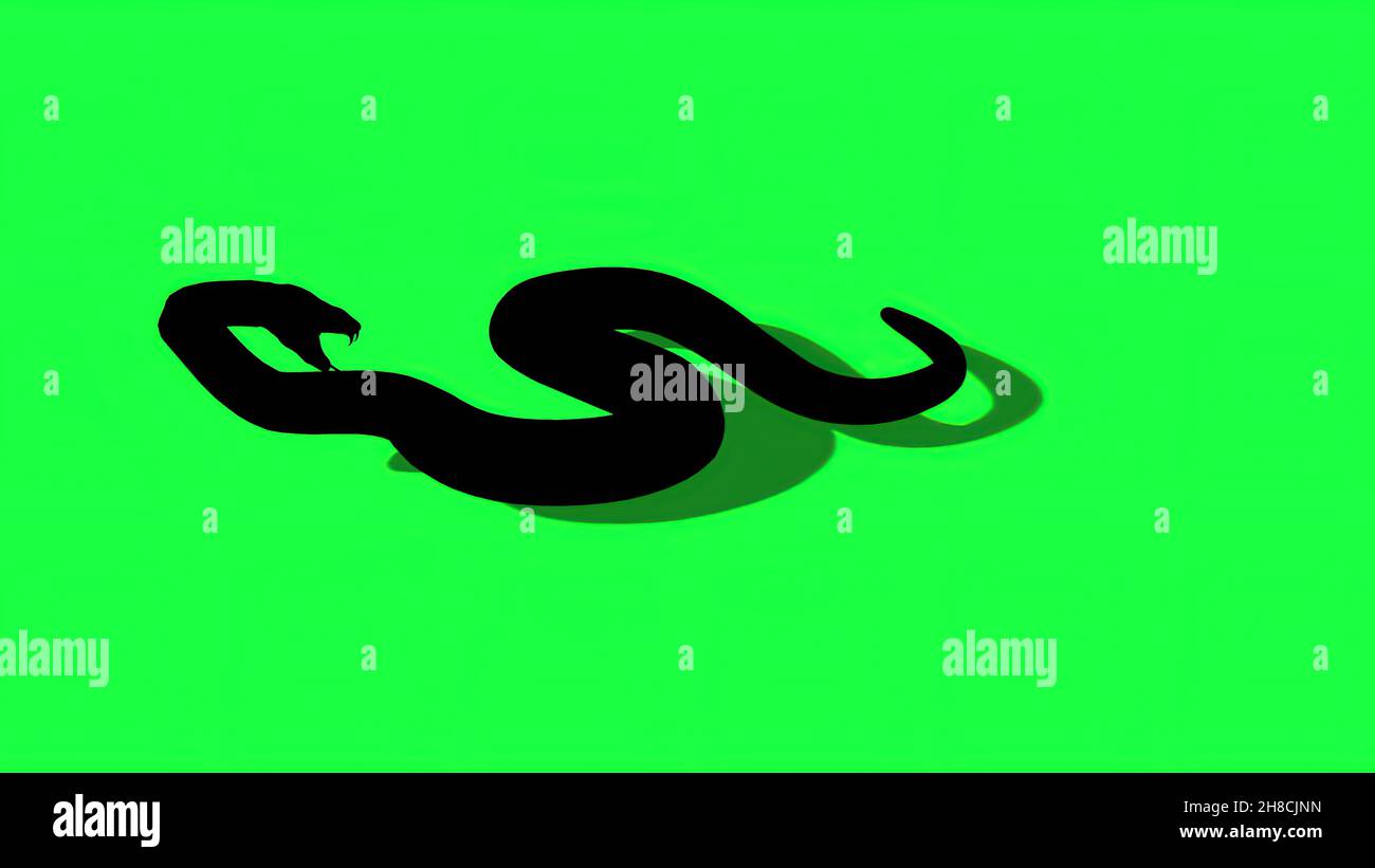 3d illustration - silhouette Python Snake With Green Screen Background ...