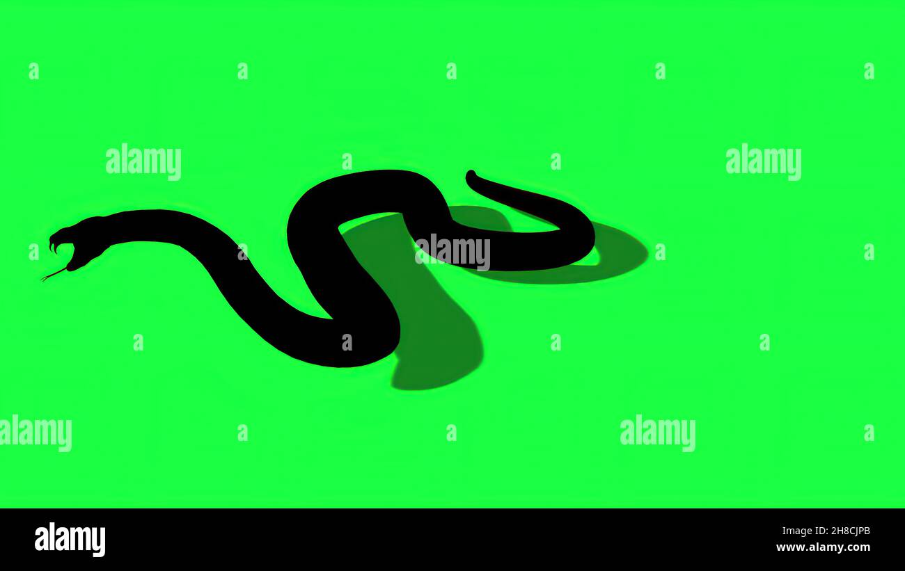 3d illustration - silhouette Python Snake With Green Screen Background ...