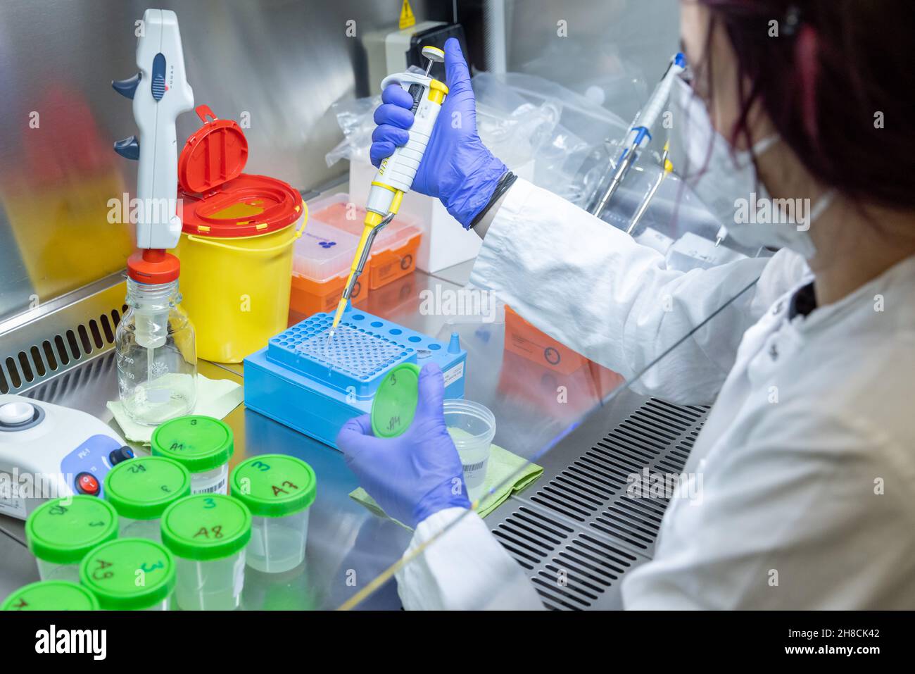 Pooled testing hi-res stock photography and images - Alamy