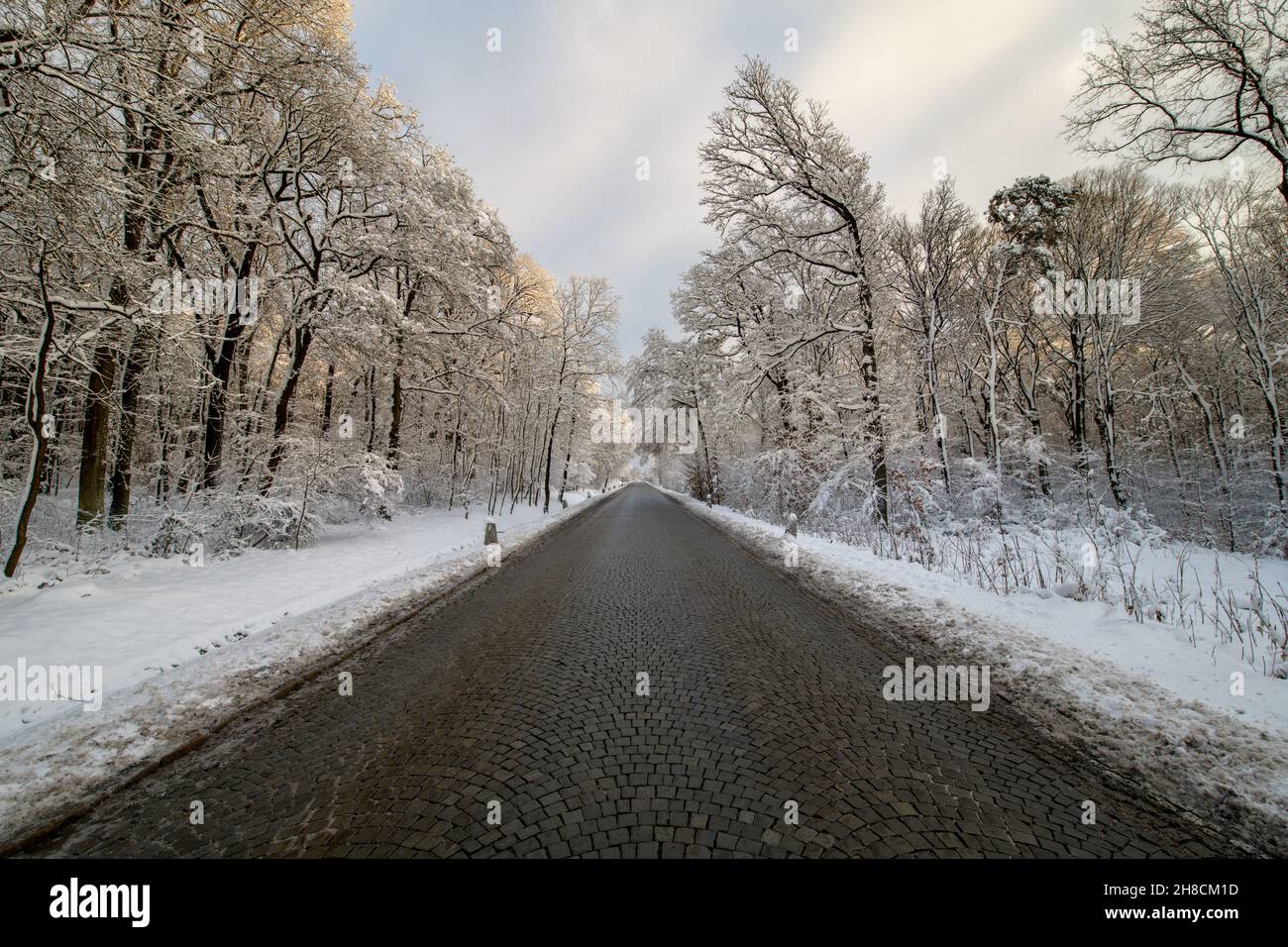 Winter landscape without snow hi-res stock photography and images - Alamy