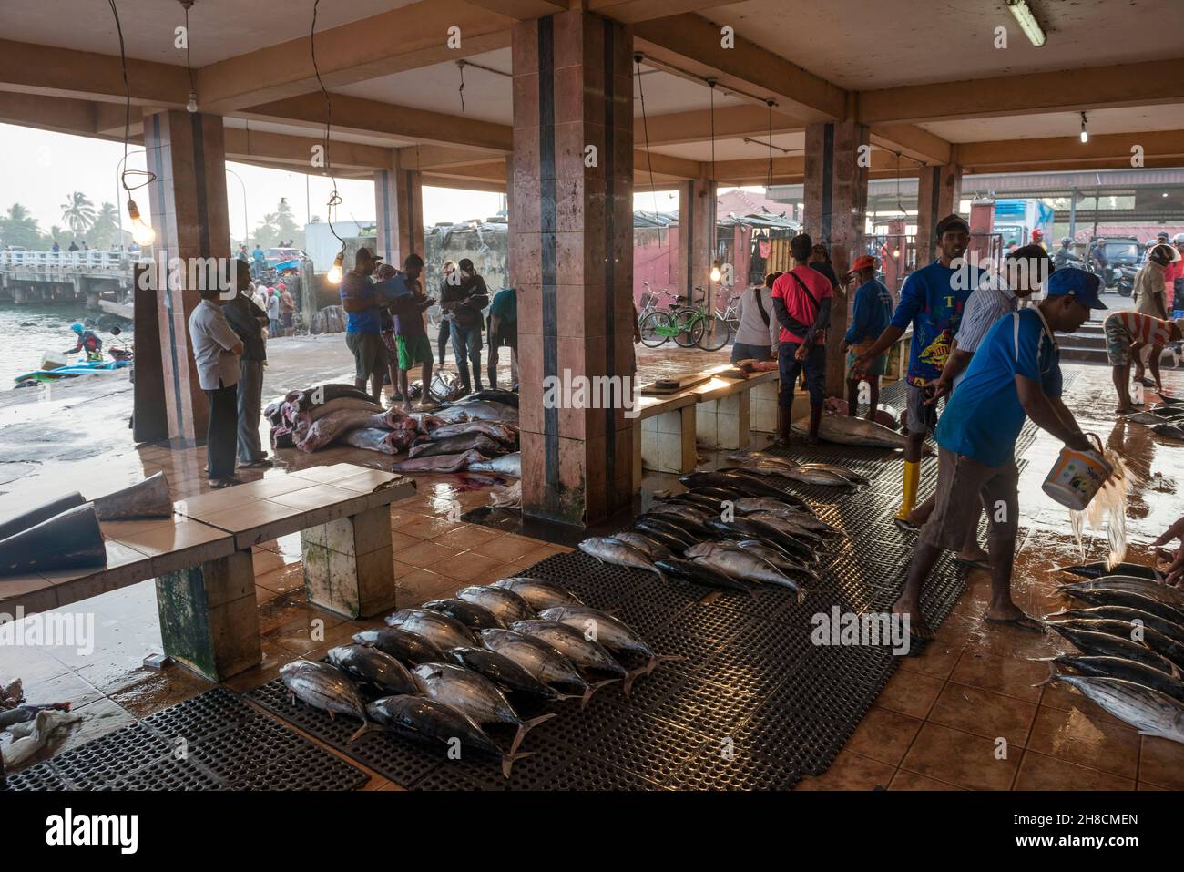 Sri Lanka, Southern Province, Sud du Sri Lanka, Süd Sri Lanka, South ...