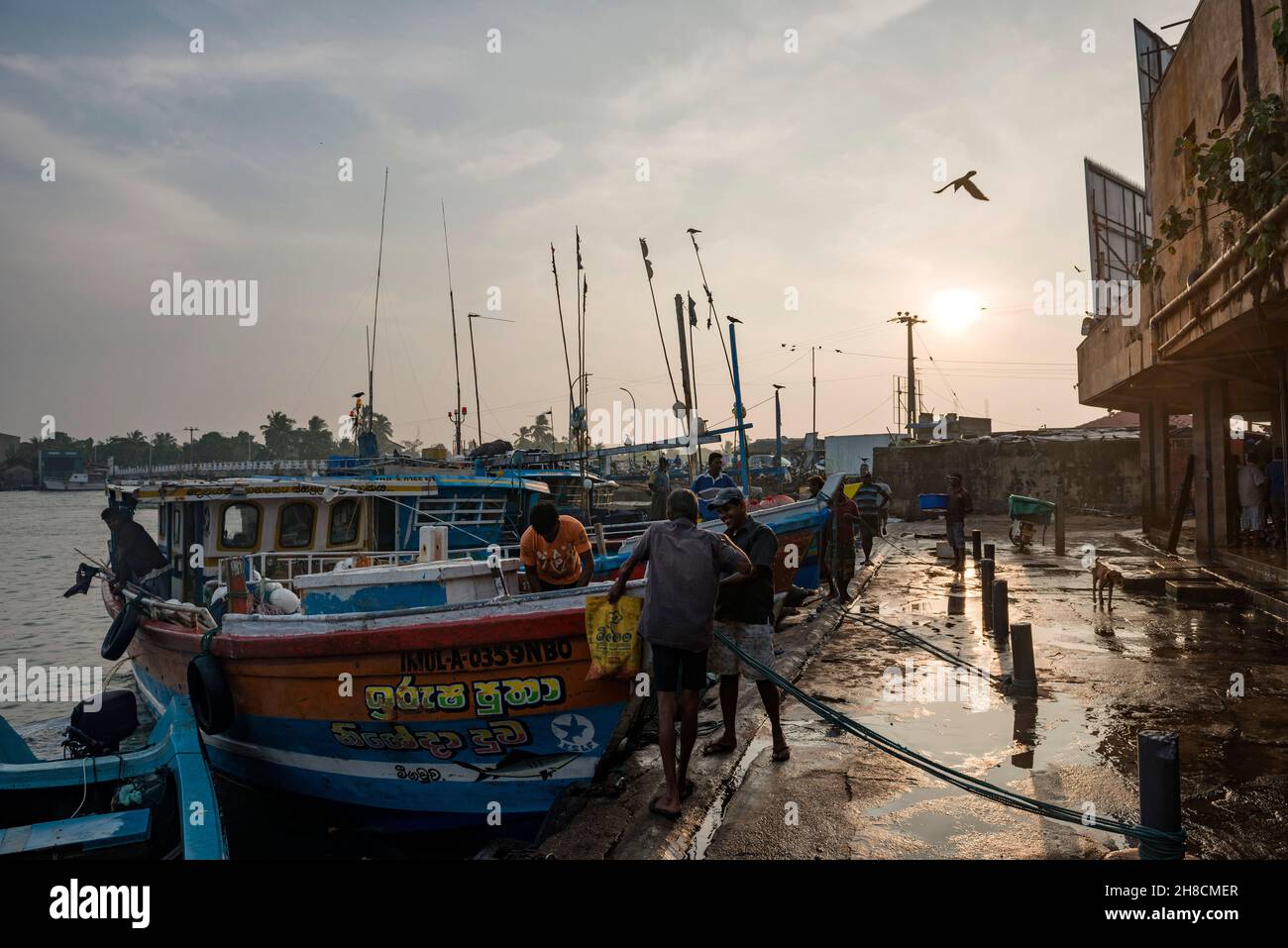 Negombo city hi-res stock photography and images - Alamy