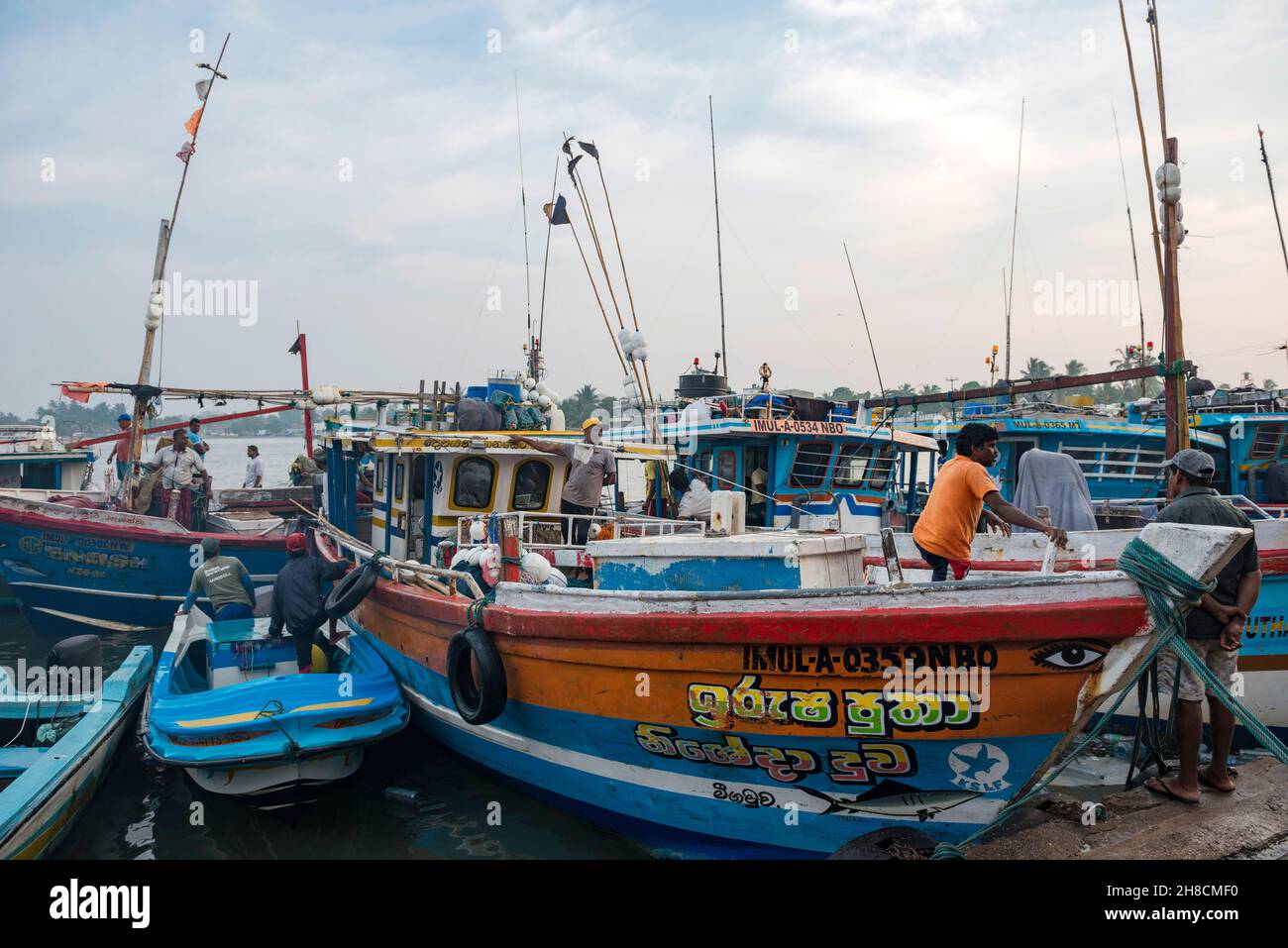 Sri Lanka, Negombo, ville, Stadt, city, marché, Markt, market, poissons ...