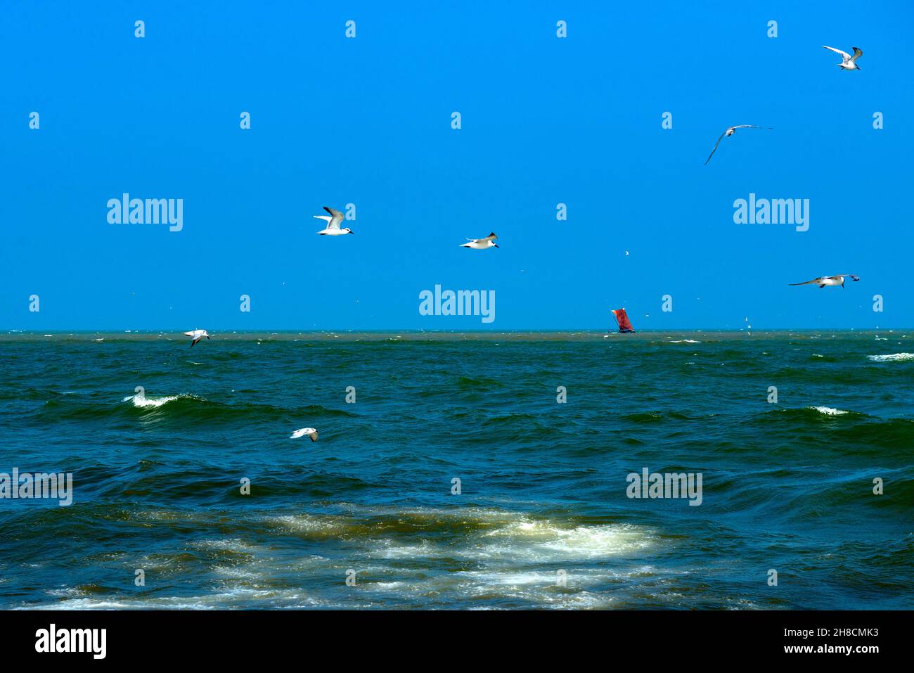 Ozean fischerboot hi-res stock photography and images - Alamy