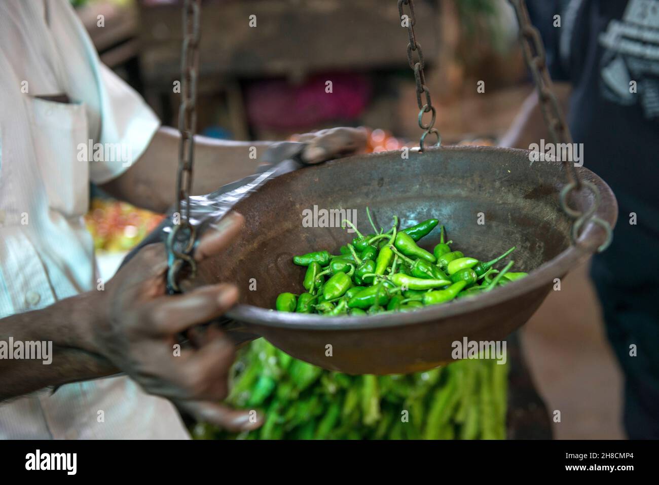 Sri Lanka, Southern Province, Sud du Sri Lanka, Süd Sri Lanka, South ...