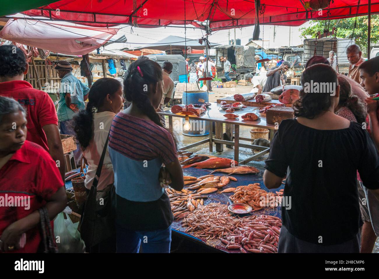 Fisch fi hi-res stock photography and images - Alamy
