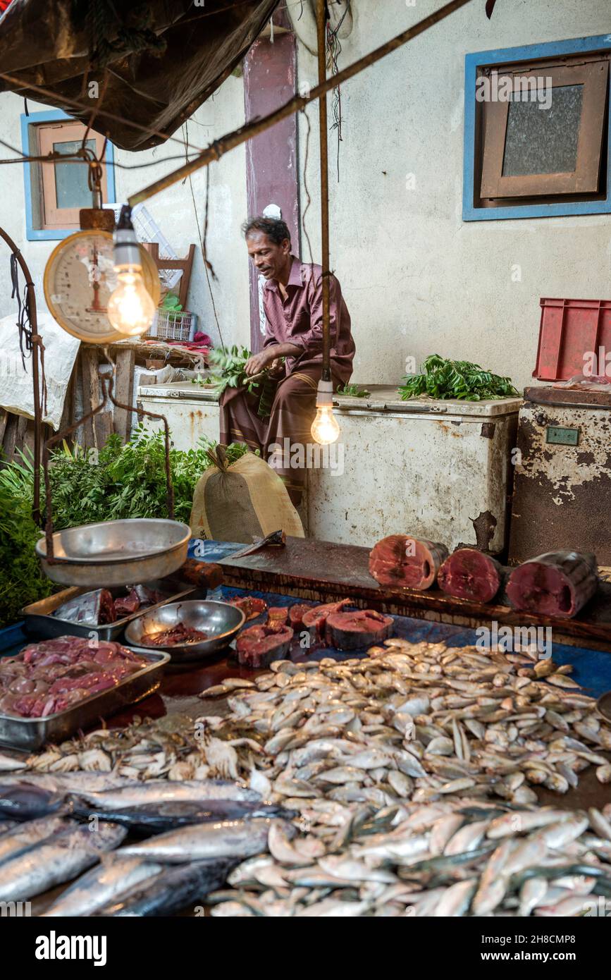 Fisch fi hi-res stock photography and images - Alamy