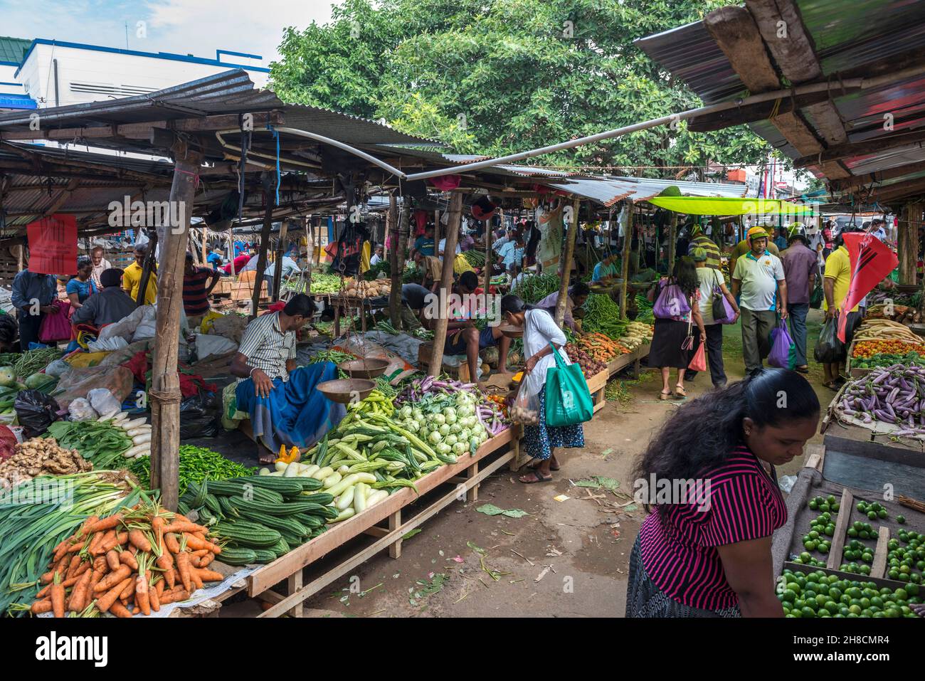 Sri Lanka, Southern Province, Sud du Sri Lanka, Süd Sri Lanka, South ...