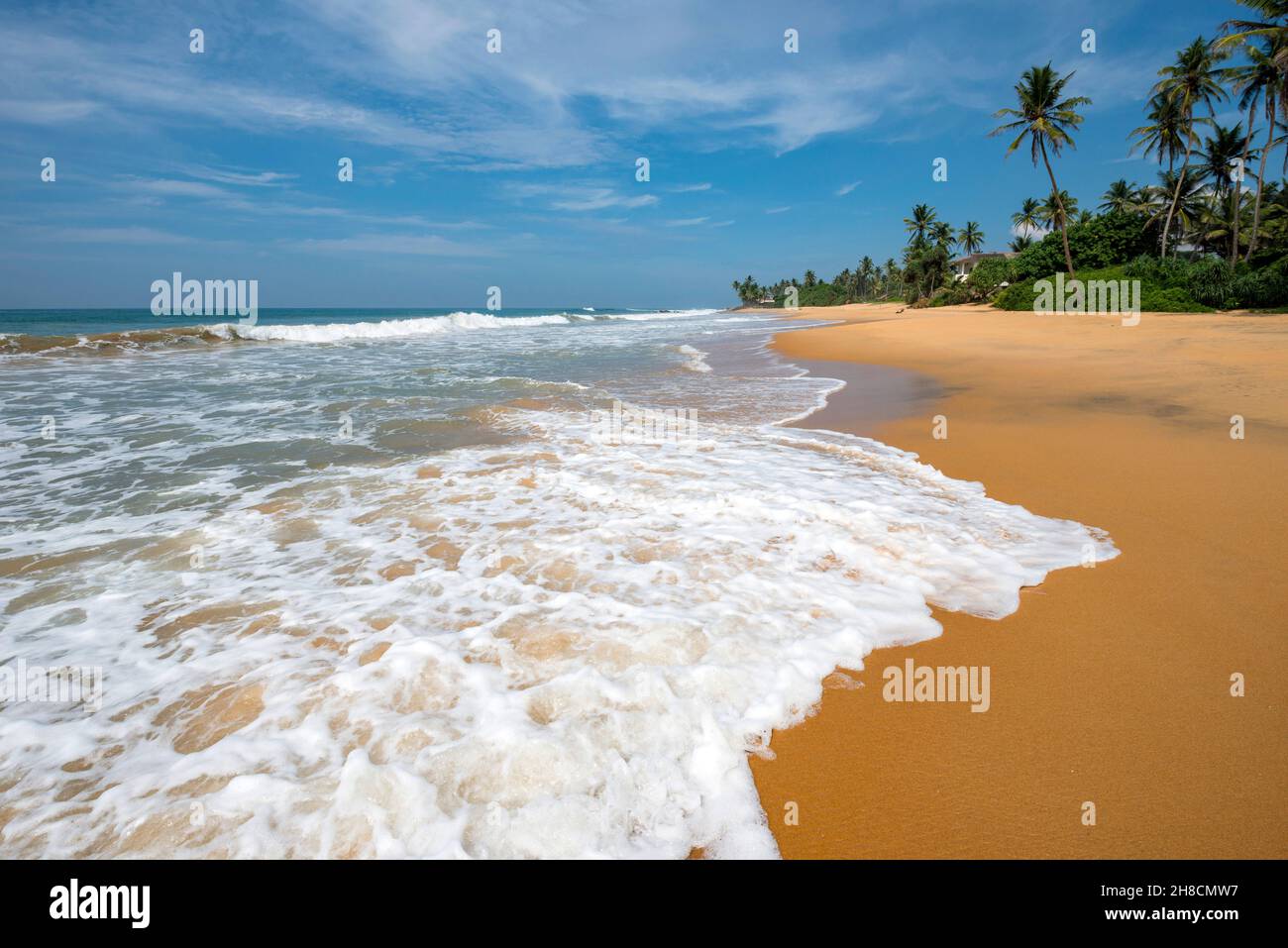 Palmiers sri lanka hi-res stock photography and images - Alamy
