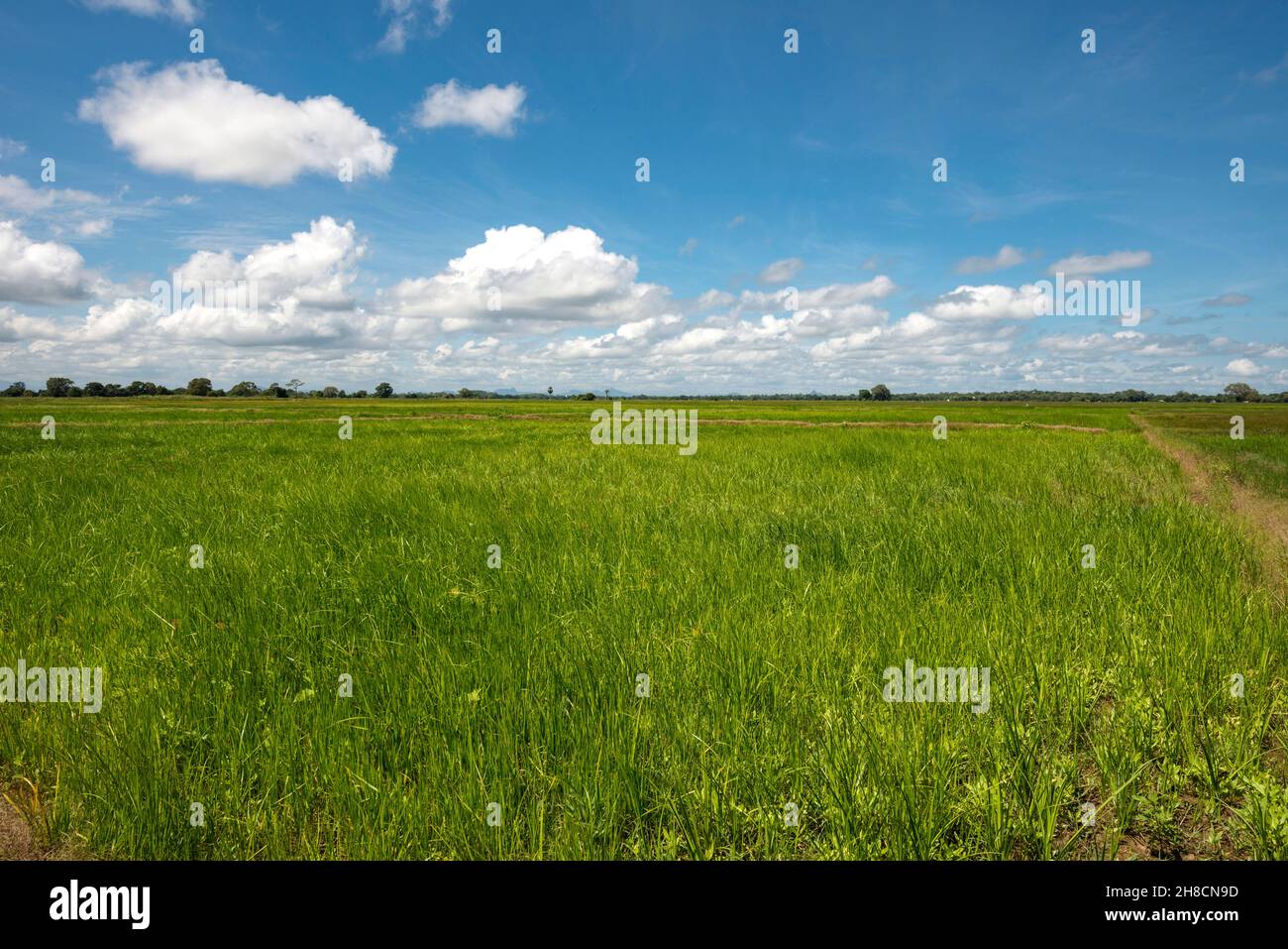 Sri Lanka, la province d'Ampara, Ampara Province, the Ampara Province ...