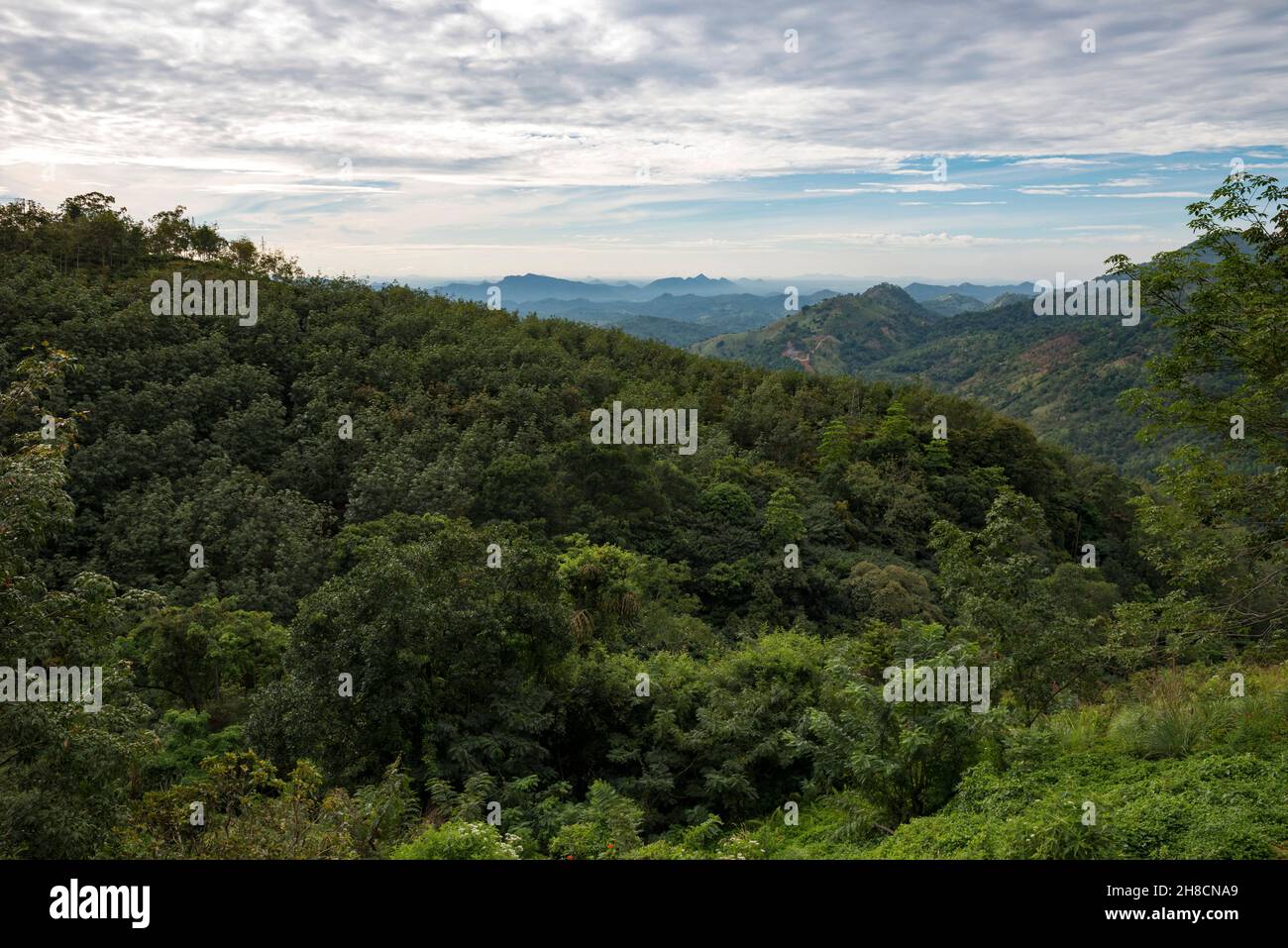 Sri Lanka, la province d'Uva, Uva Province, the Uva Province, montagne ...
