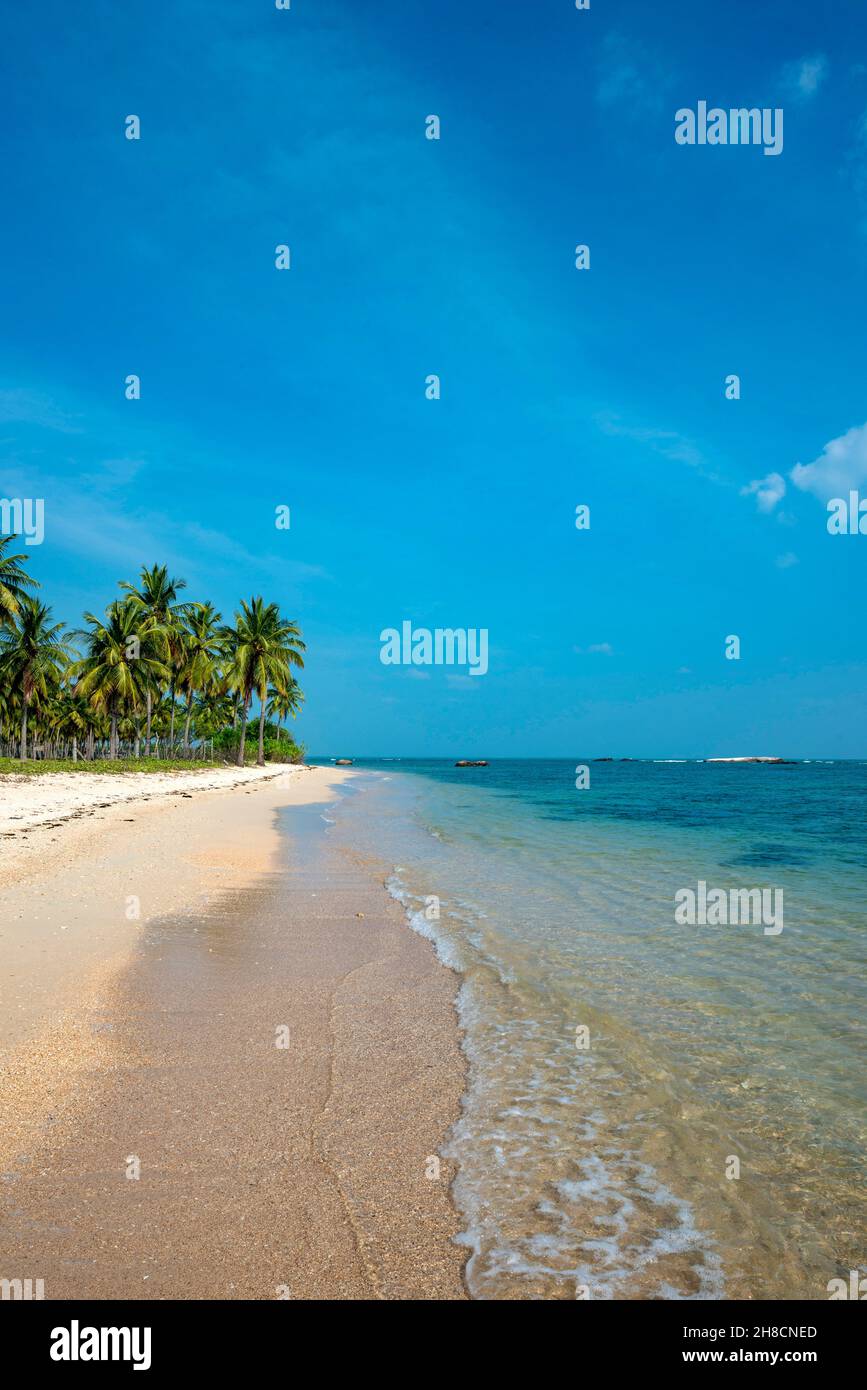 Pasikuda strand hi-res stock photography and images - Alamy