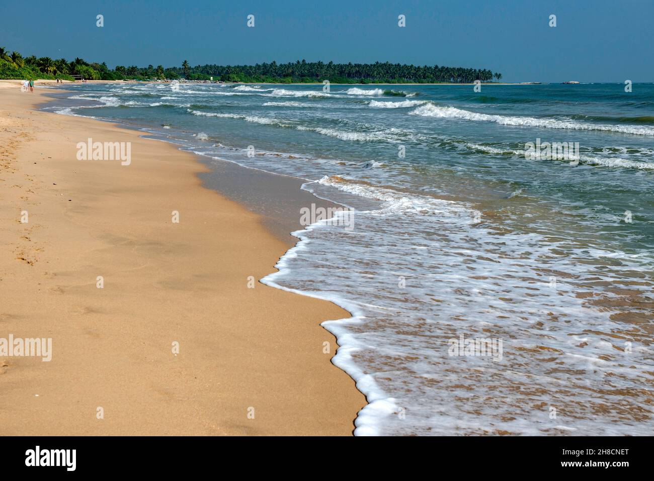 Pasikuda strand hi-res stock photography and images - Alamy