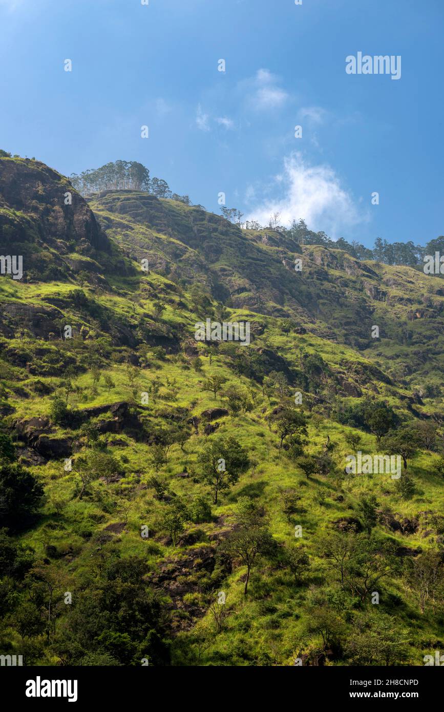 Sri Lanka, province du centre, Centrale Province, Badulla district ...