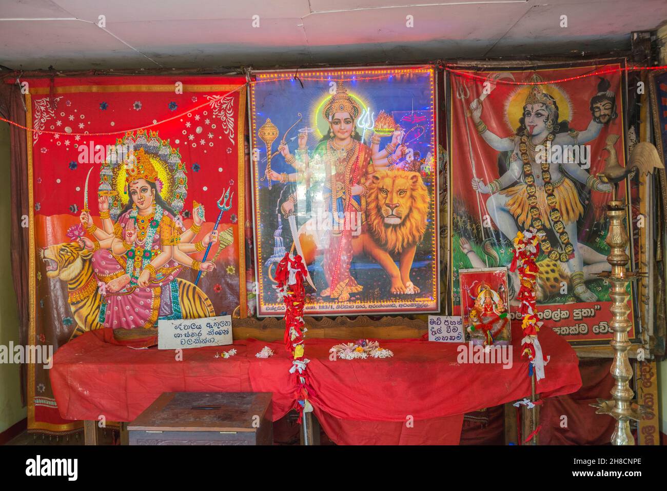 Sri Lanka, province du centre, Centrale Province, Badulla district ...