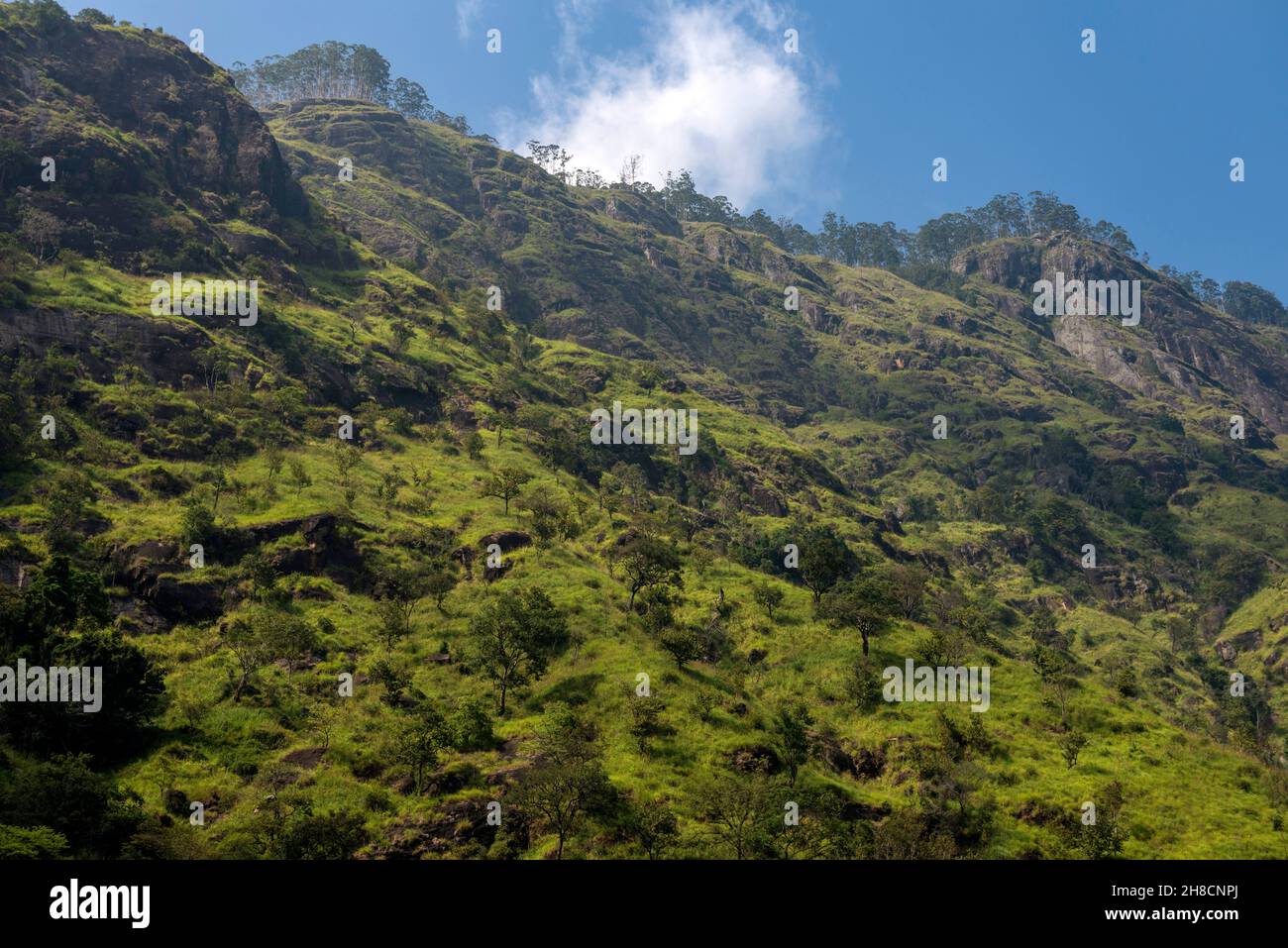 Sri Lanka, province du centre, Centrale Province, Badulla district ...