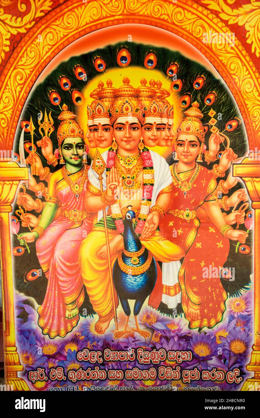 Sri Lanka, province du centre, Centrale Province, Badulla district ...