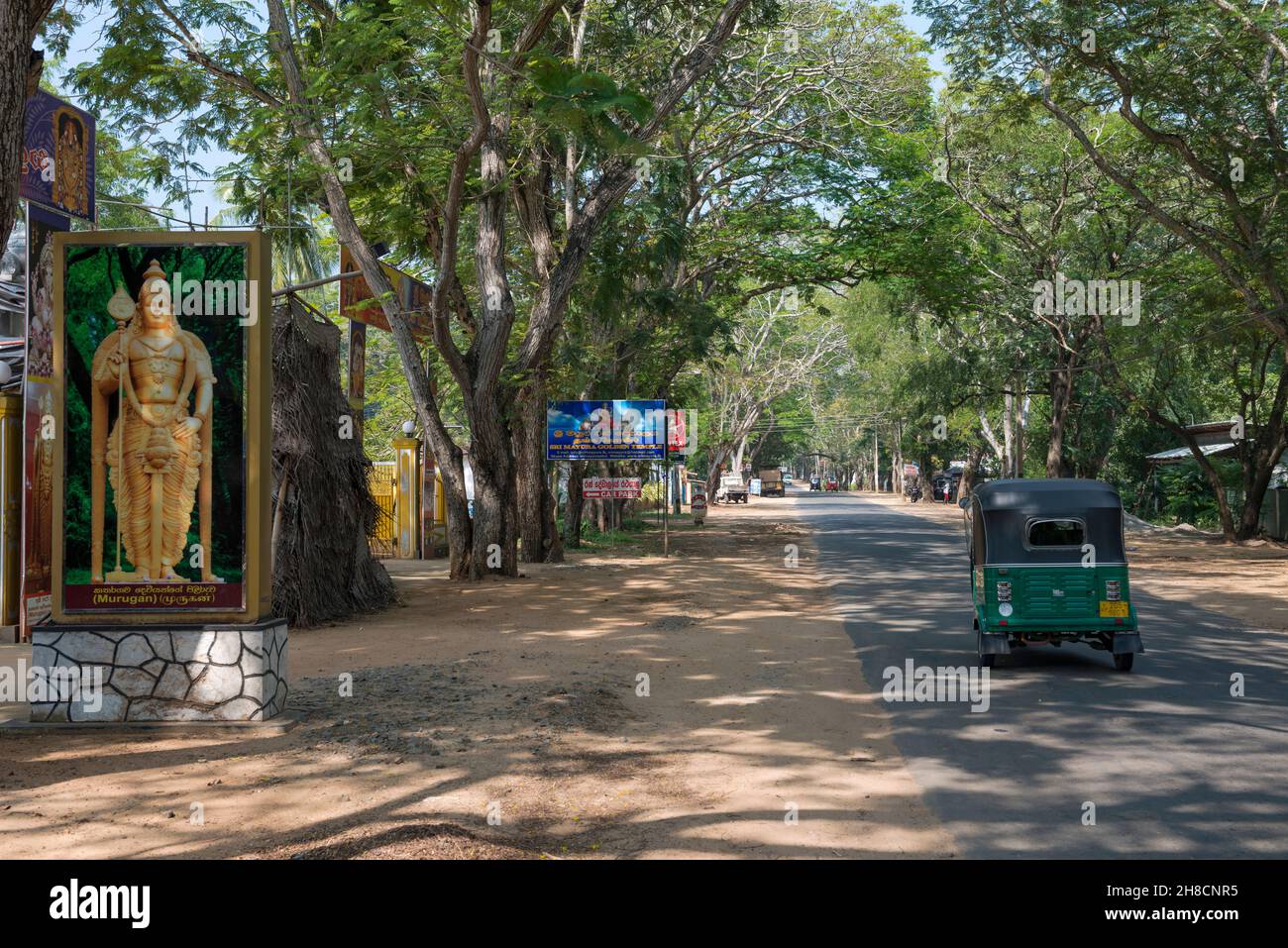 Sri Lanka, province du centre, Centrale Province, Badulla district ...