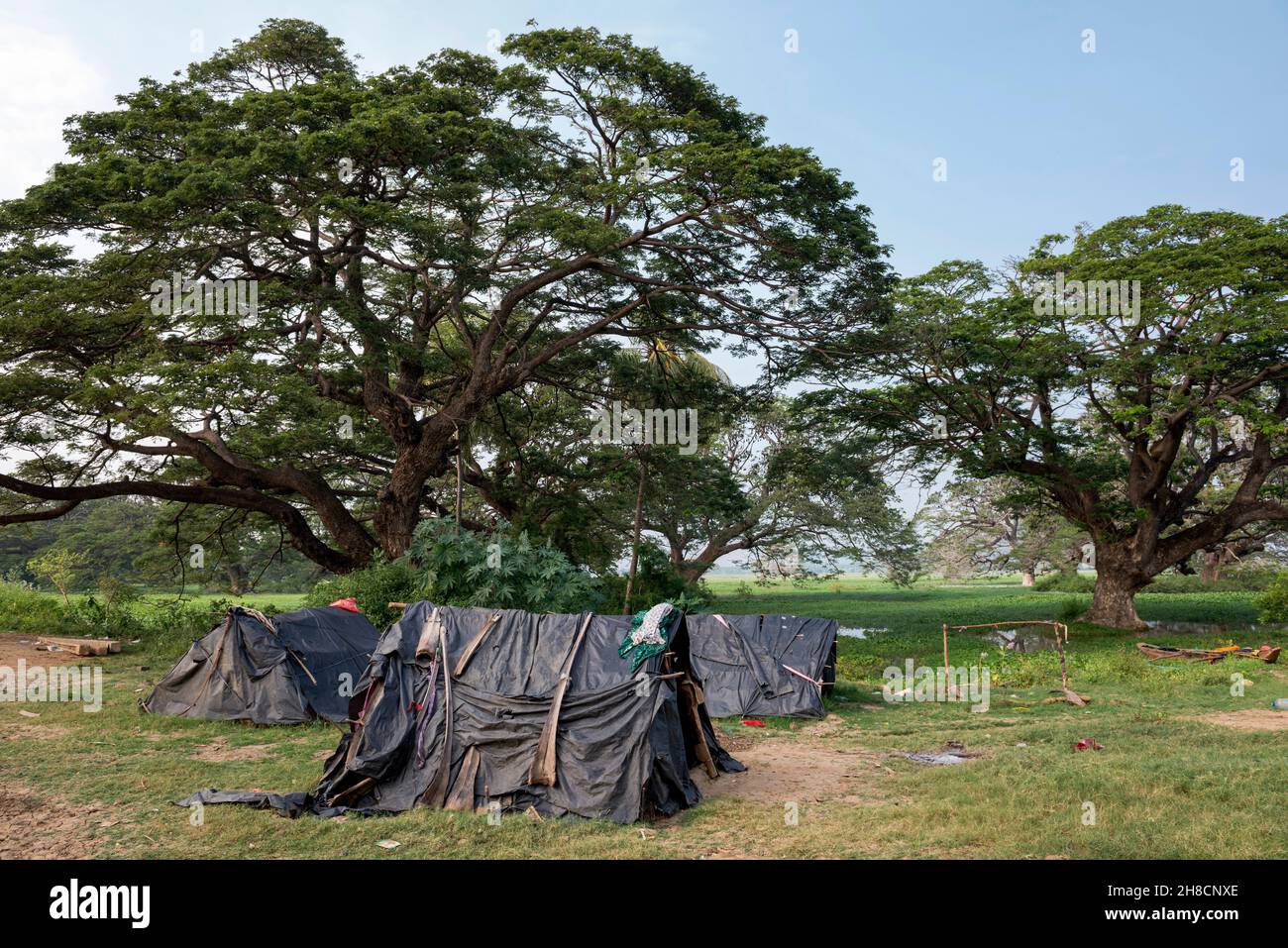 Sri Lanka, Uva Province, Kataragama, ville, Staadt, town, eau, Wasser ...
